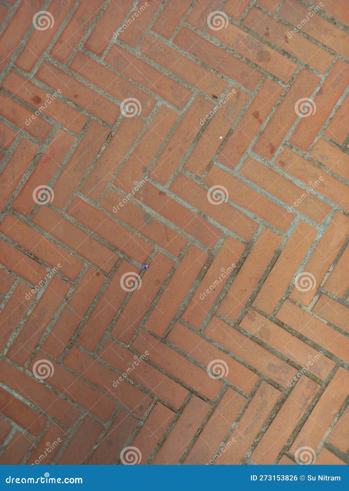 Pavement Full Frame.Red Brick Wall Background. Full Frame of Diagonal ...