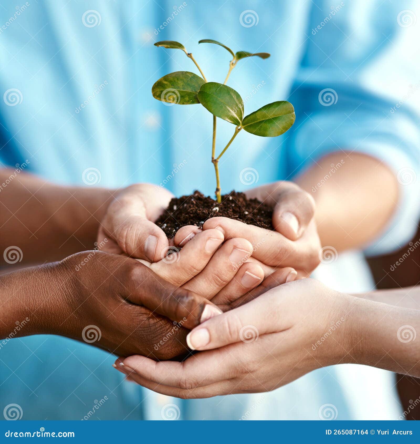 Construir Un Futuro Mejor Juntos. Gente Irreconocible Con Una Planta ... Construir Un Futuro Mejor Juntos. Gente Irreconocible Con Una Planta ...