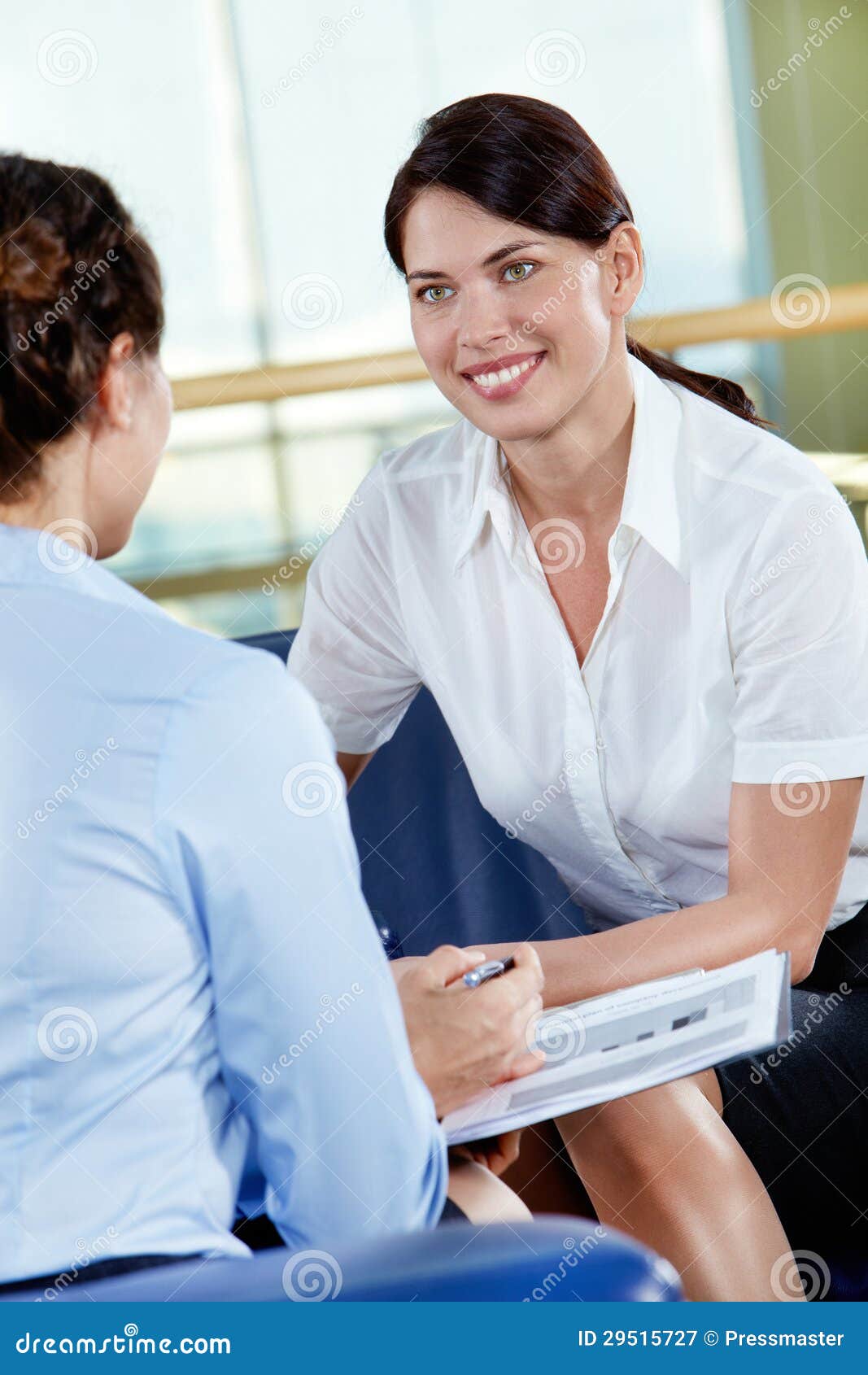 Consulting stock image. Image of interviewing, employee - 29515727