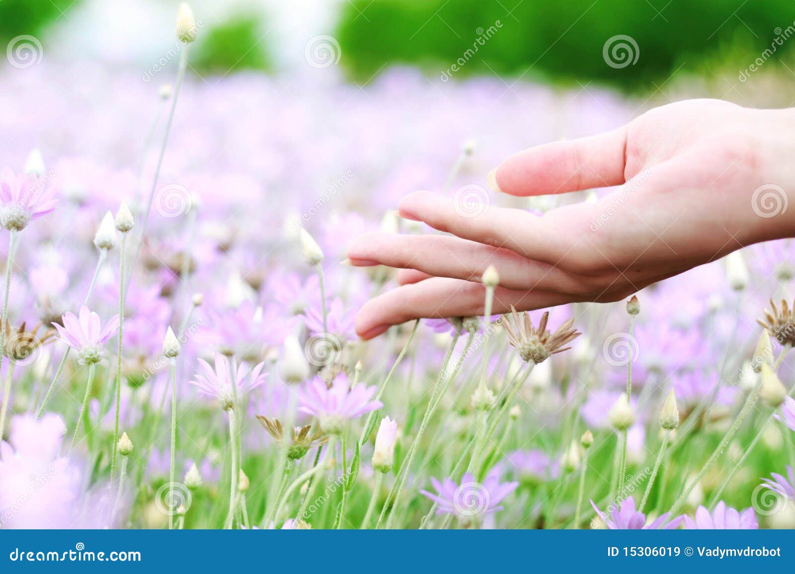 Contact de la nature image stock. Image du ciel, puissant - 15306019