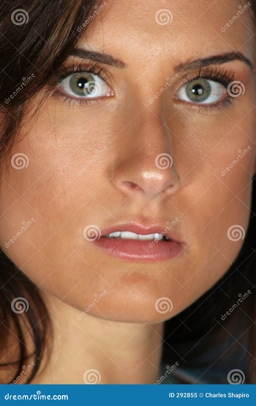 Contacto visual del primer imagen de archivo. Imagen de aspecto - 292855