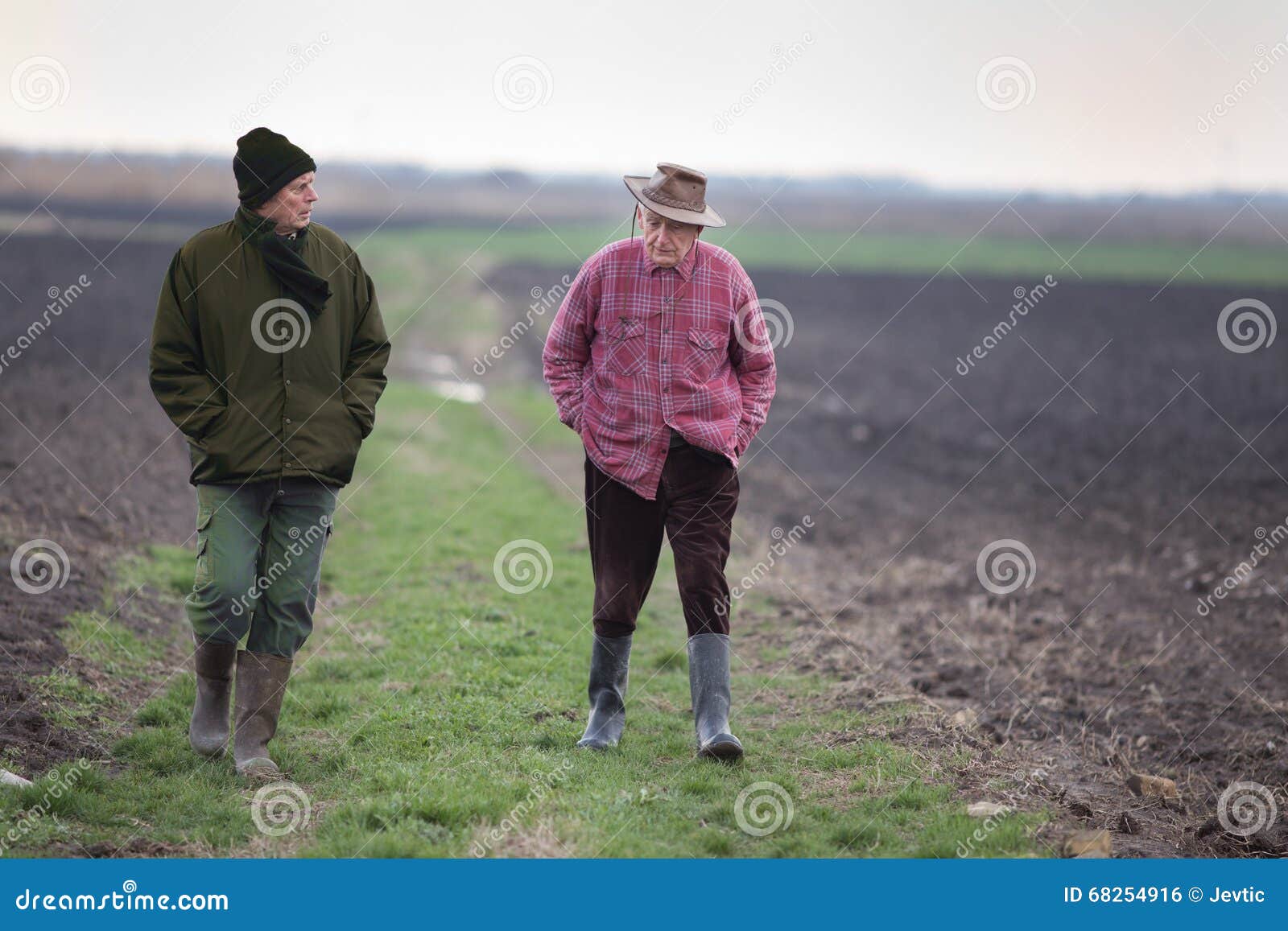 Contadini sul campo fotografia stock. Immagine di maggiore - 68254916