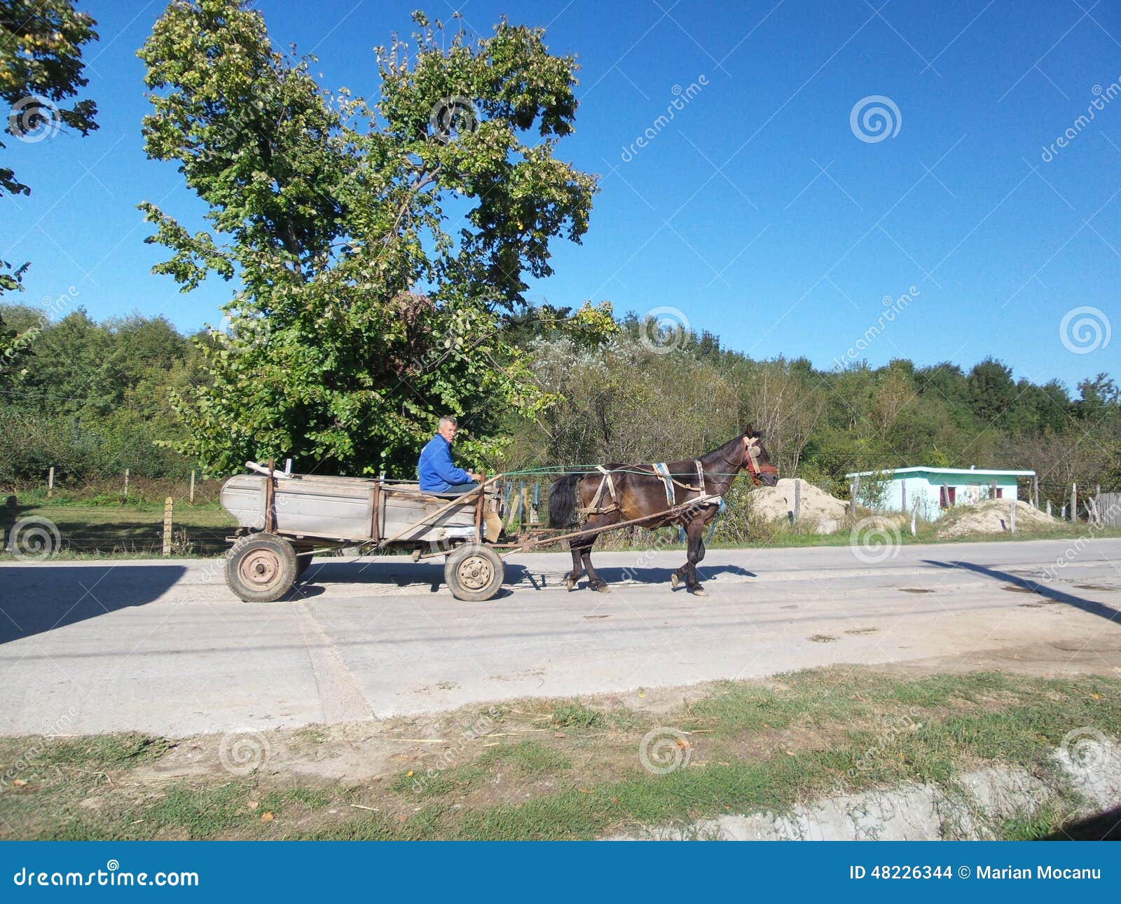 Contadino in carretto immagine stock editoriale. Immagine di rustico ...