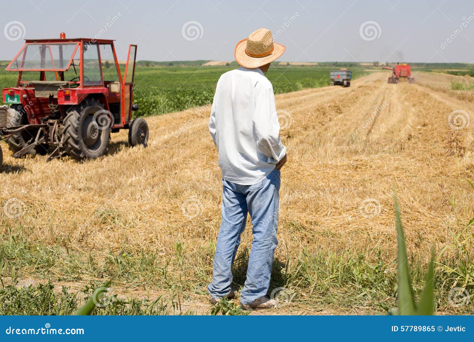 Contadino Che Sta Nel Campo Immagine Stock - Immagine di esterno ...