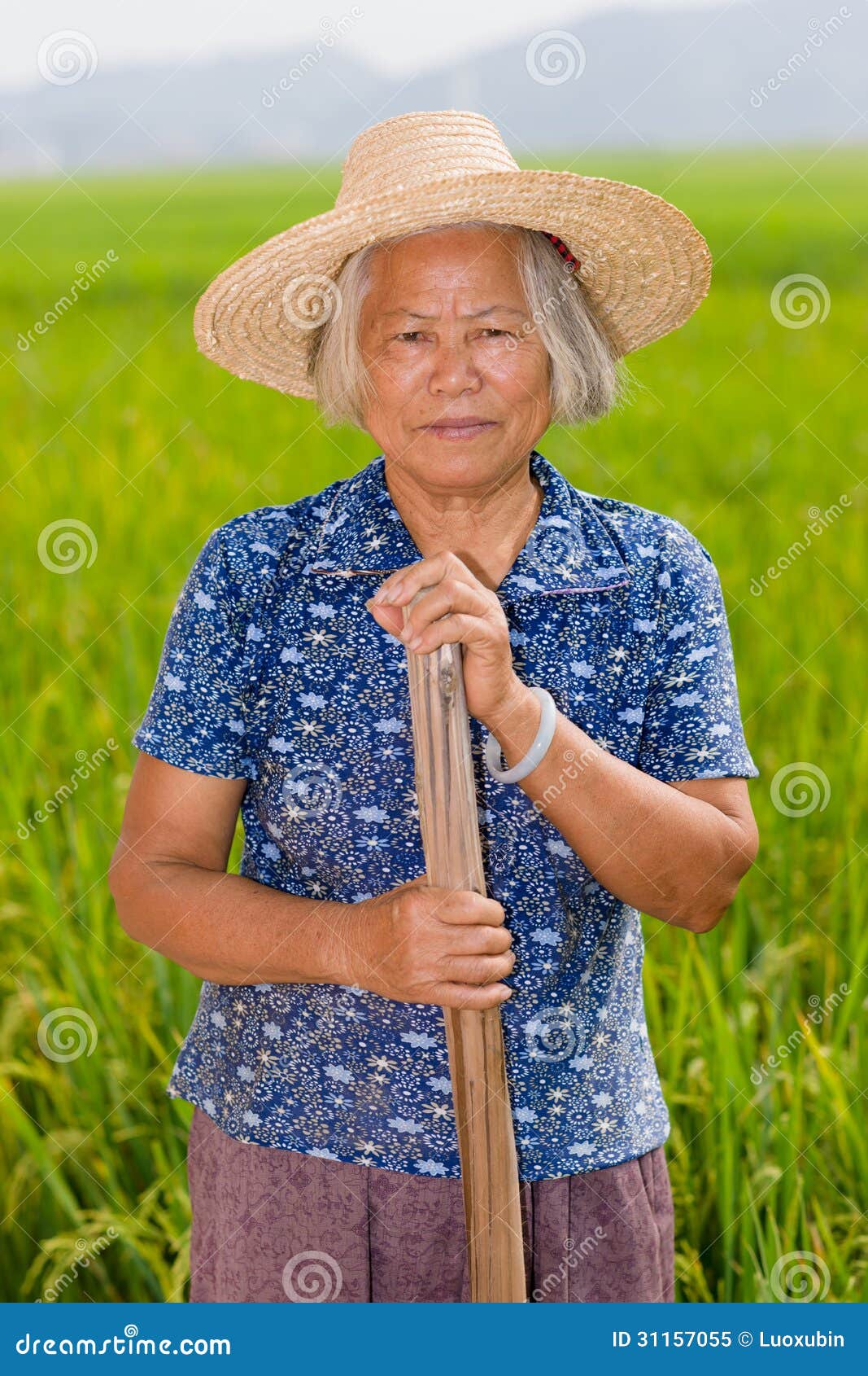 Contadino cinese immagine stock. Immagine di femmina - 31157055