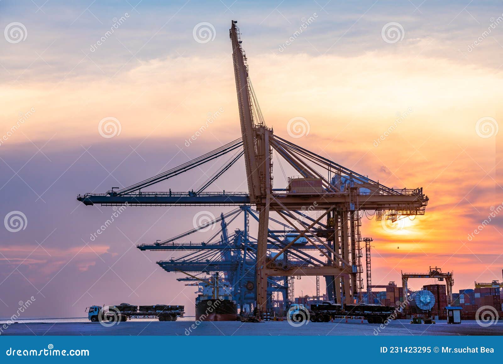 Container Crane Cargo Freight Ship with Working Crane Loading Bridge ...