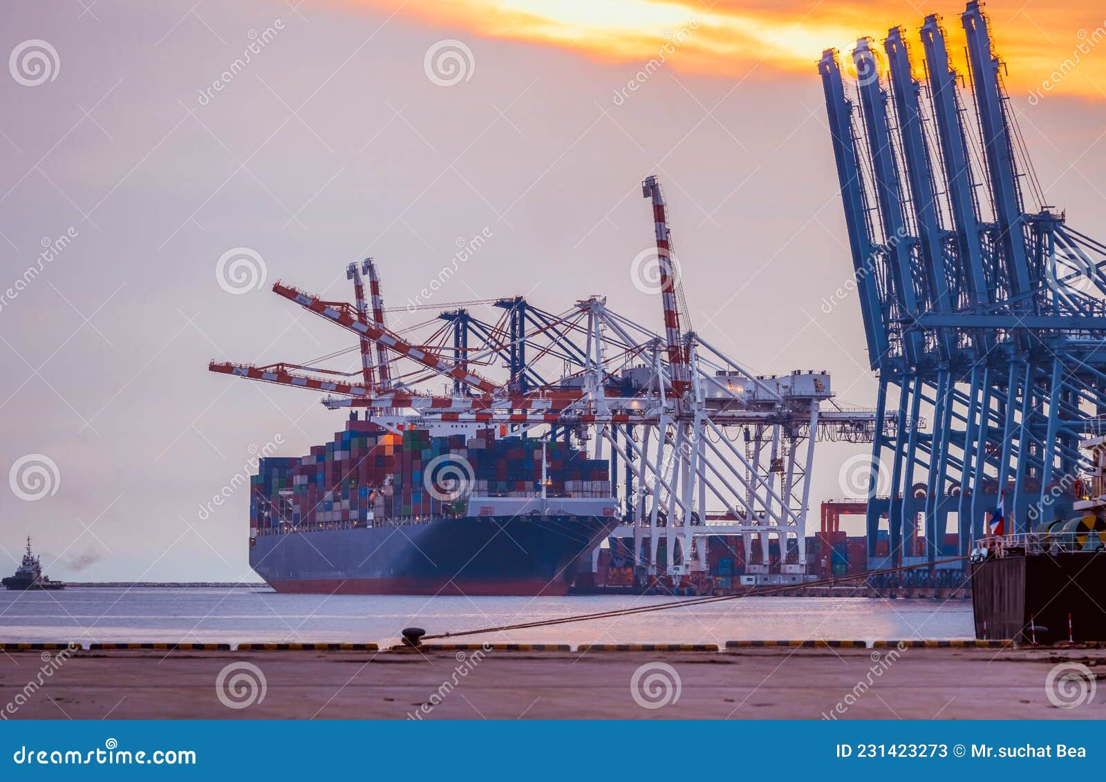 Container Crane Cargo Freight Ship with Working Crane Loading Bridge ...
