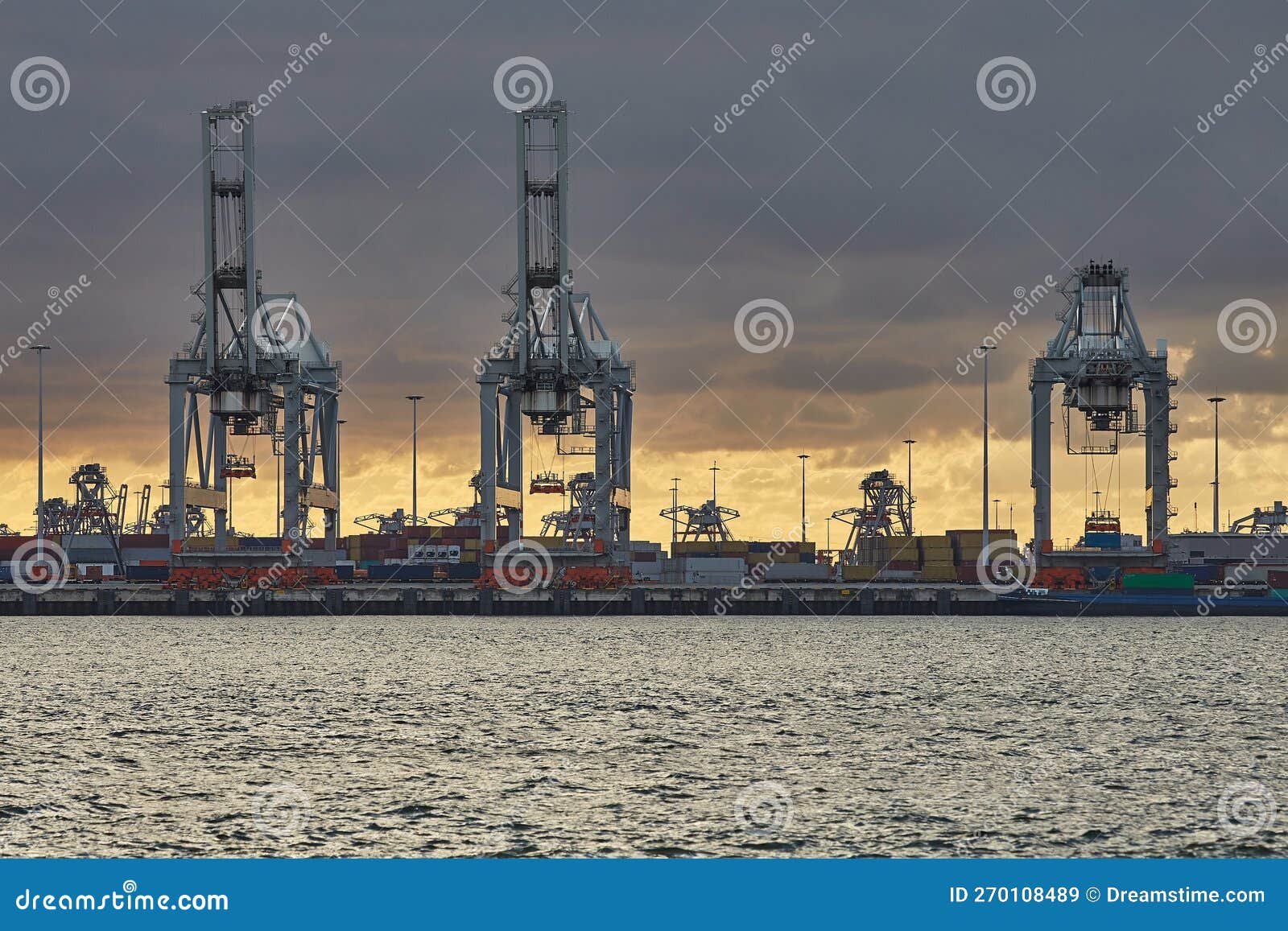 Container Dock in Rotterdam Stock Image - Image of dock, port: 270108489