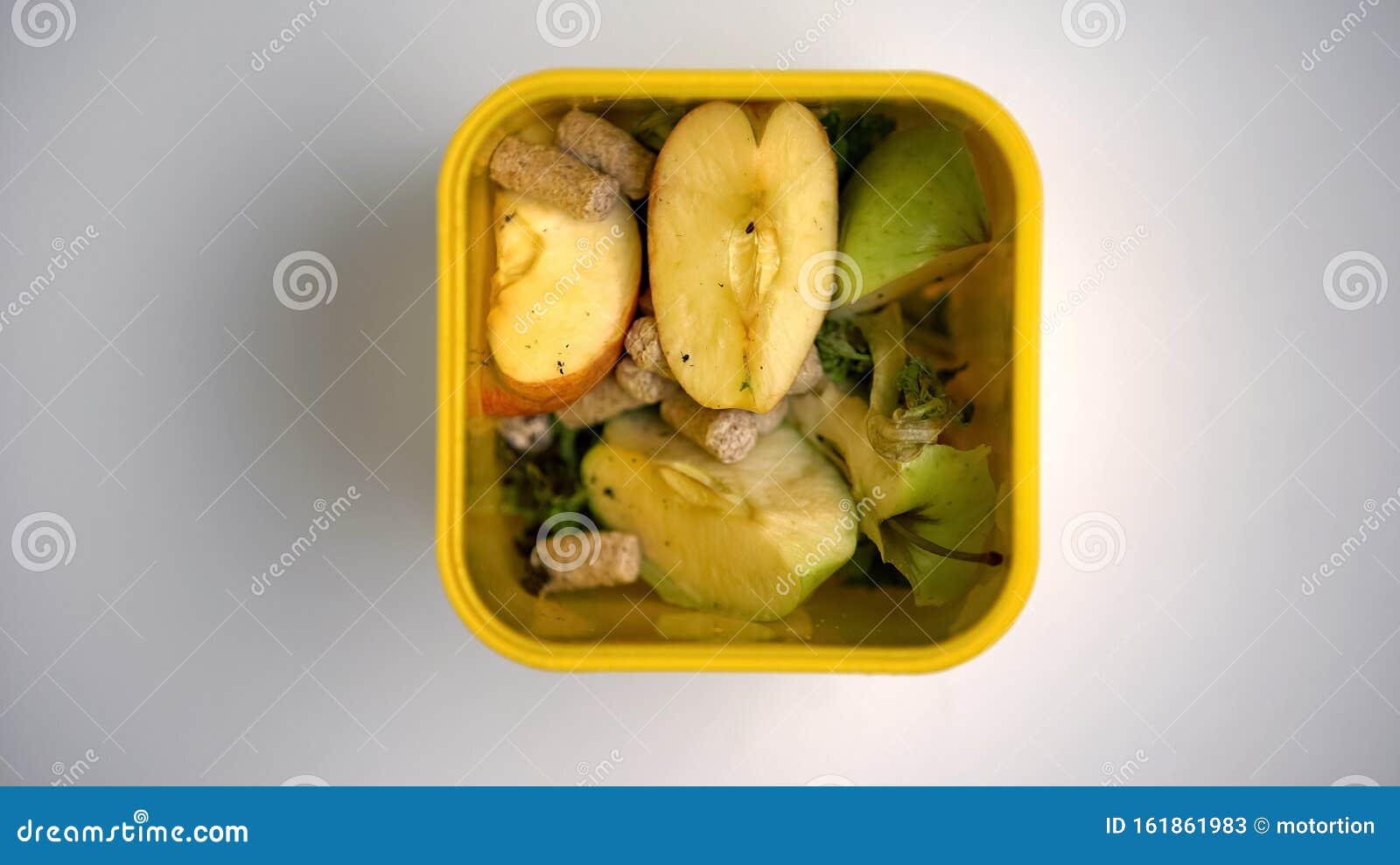 Container with Food Waste Standing on Table, Economic and Environmental ...