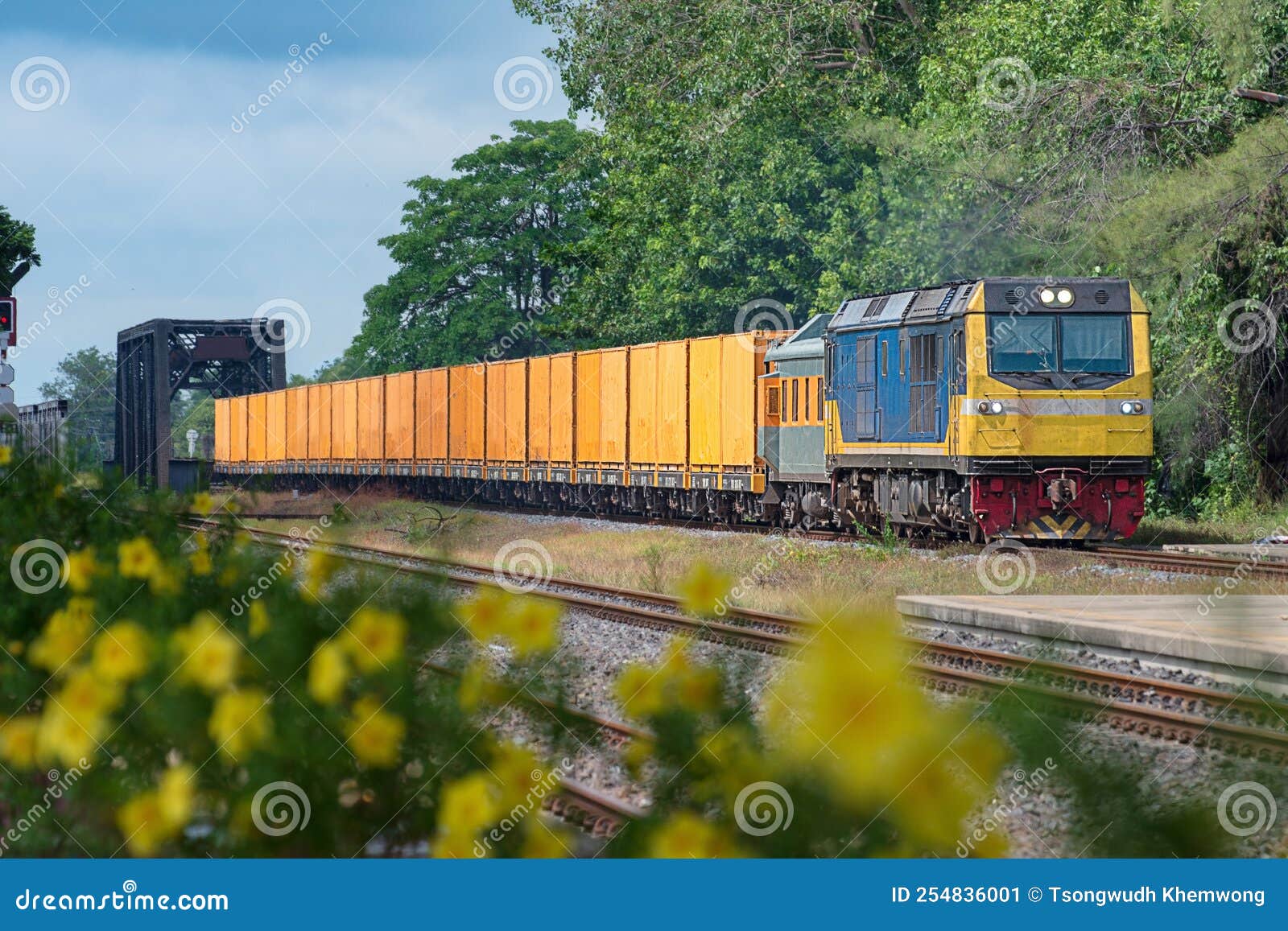 Container-freight Train by Diesel Locomotive on the Railway. Stock ...