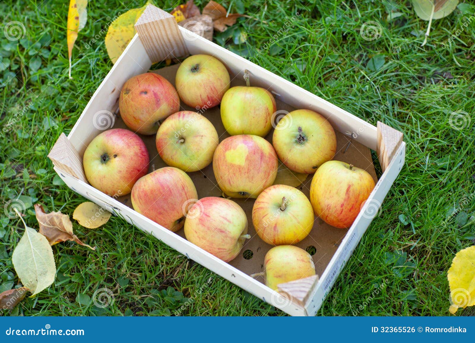 Container with Fresh Apples Stock Photo - Image of green, container ...