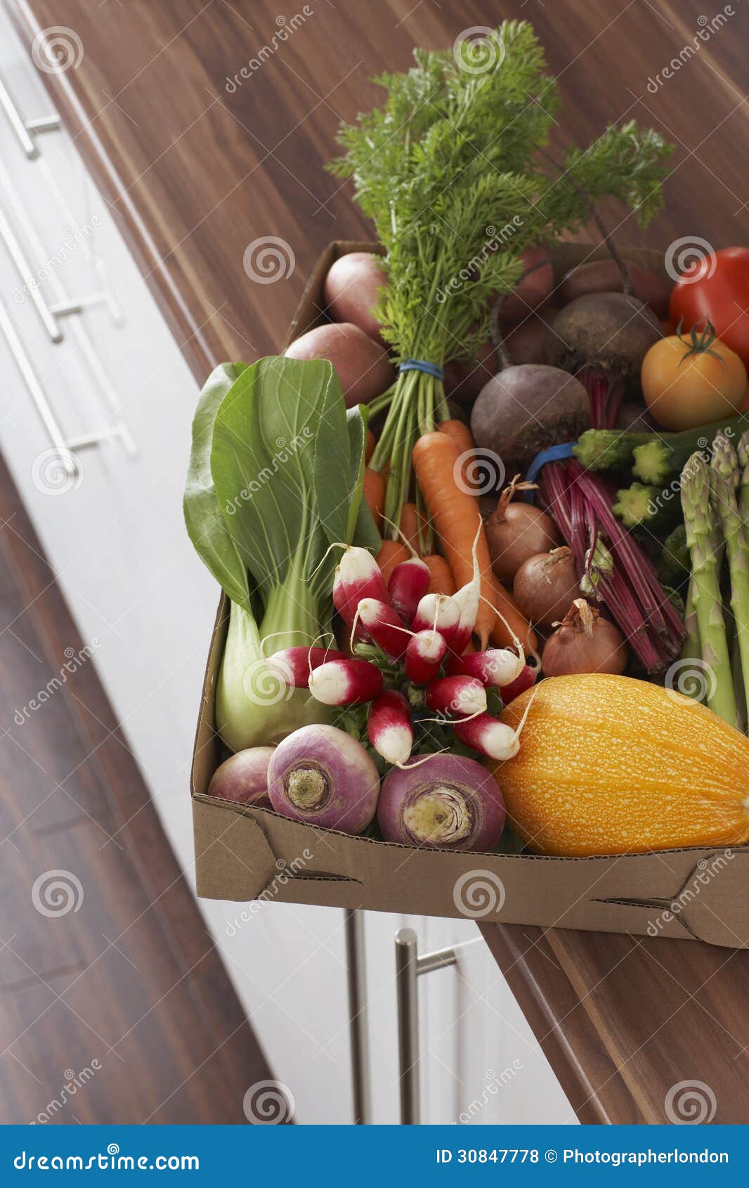 Container Full of Fresh Vegetables on Kitchen Counter Close-up Elevated ...