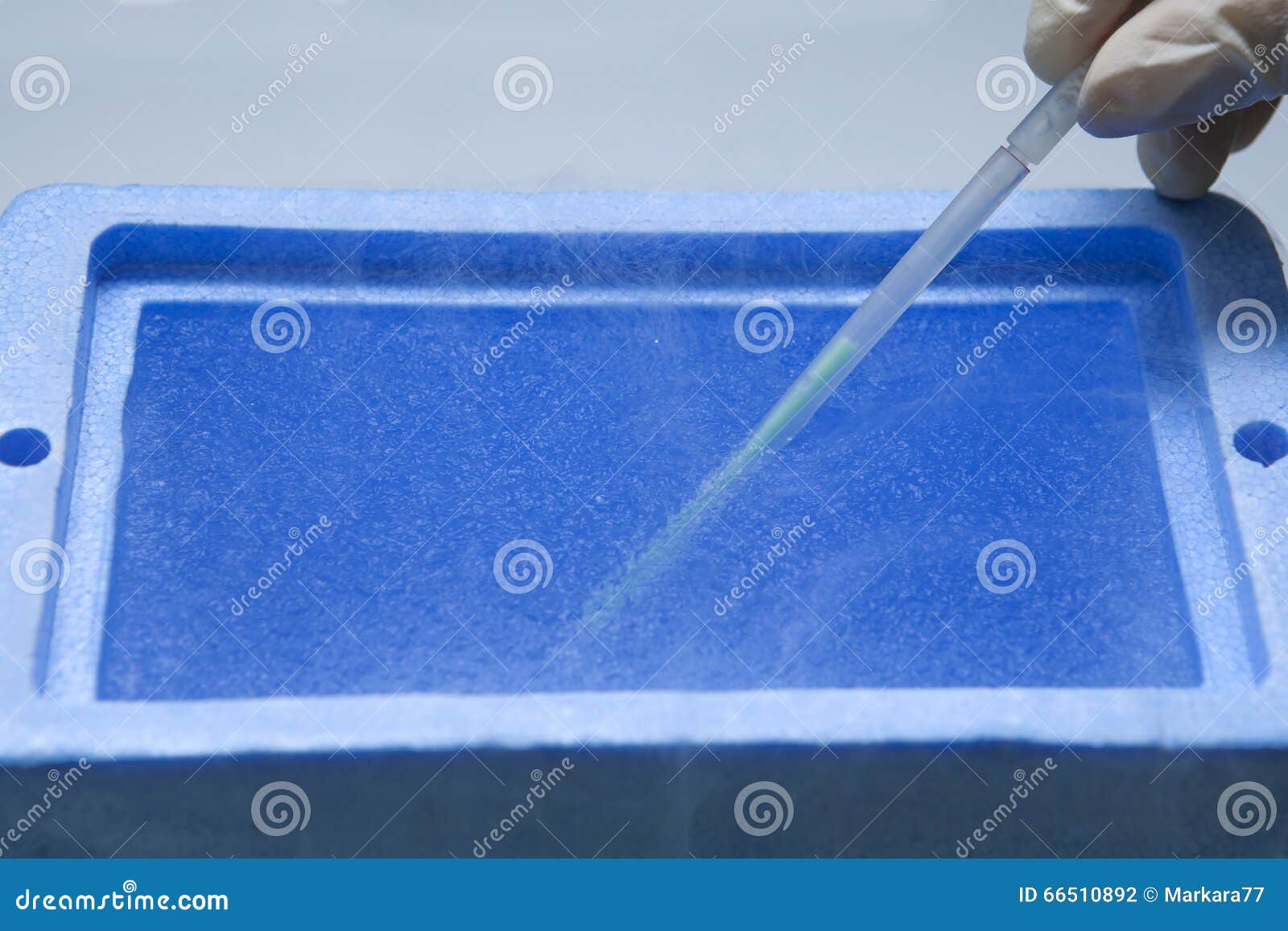 Cryopreservation. Container With Sperm And Ice Cubes On Grey Background ...