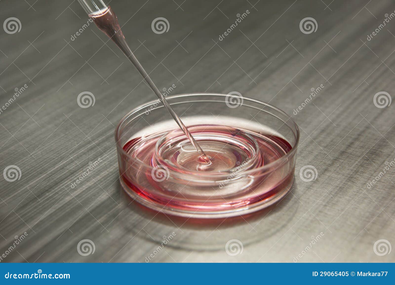 Container with Liquid and a Syringe Stock Image - Image of medication ...
