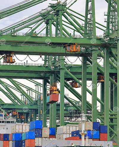 Container Loading and Unloading at Singapore Shipping Container ...