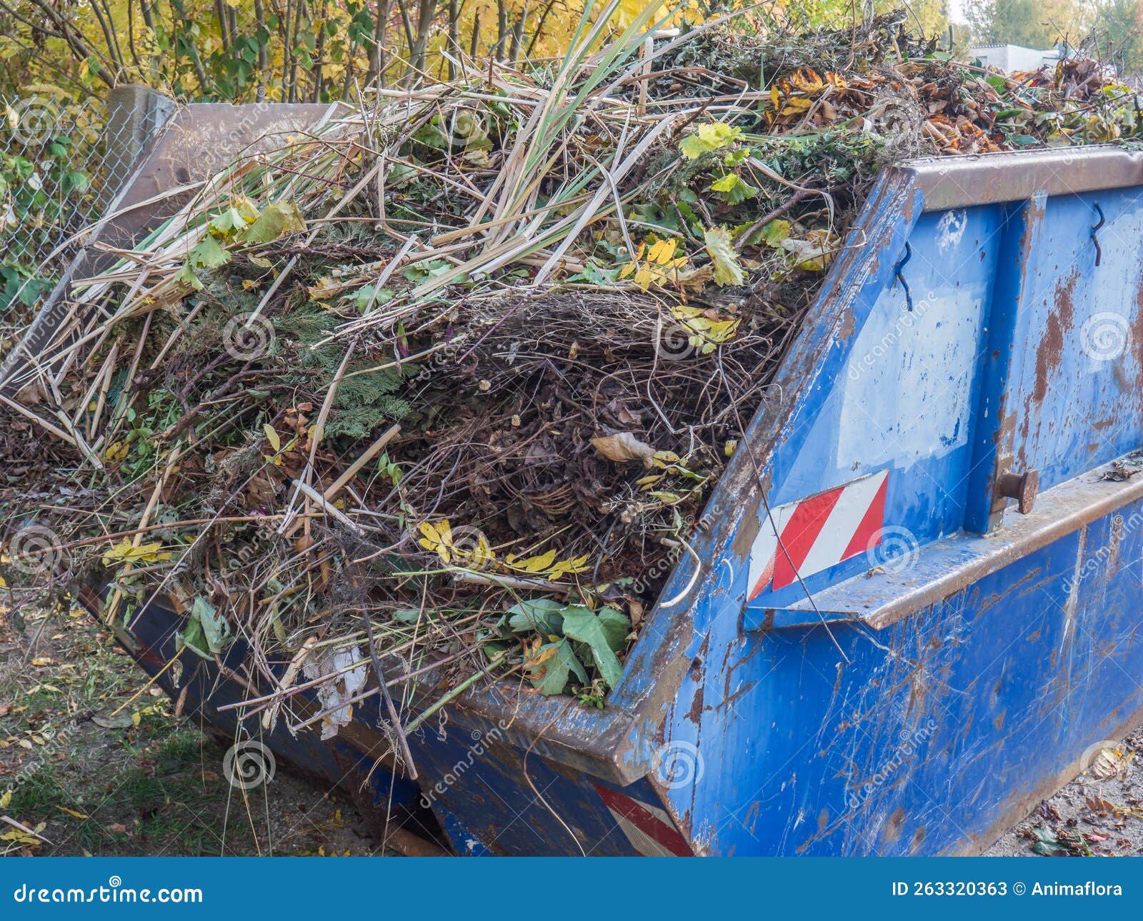 Container with Old Garden Waste Stock Image - Image of recycling ...