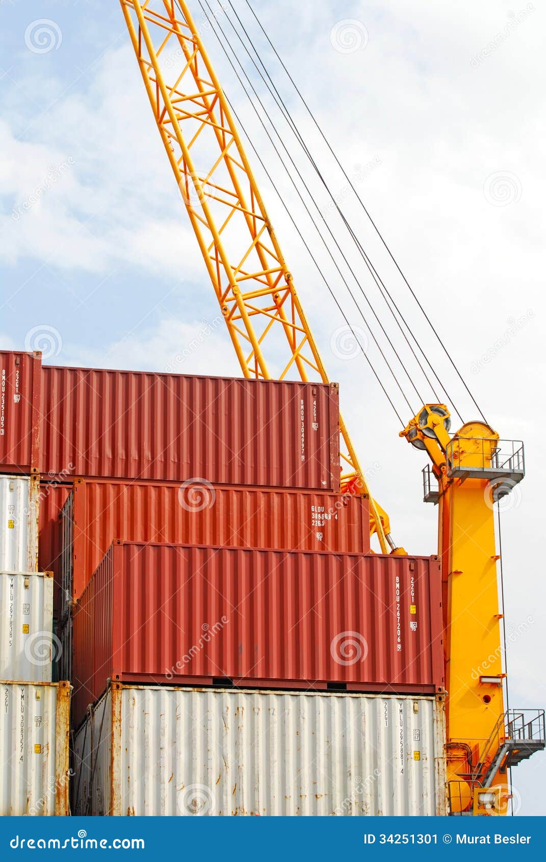 Container Operation In Port With Cranes And Gantry Loading ...