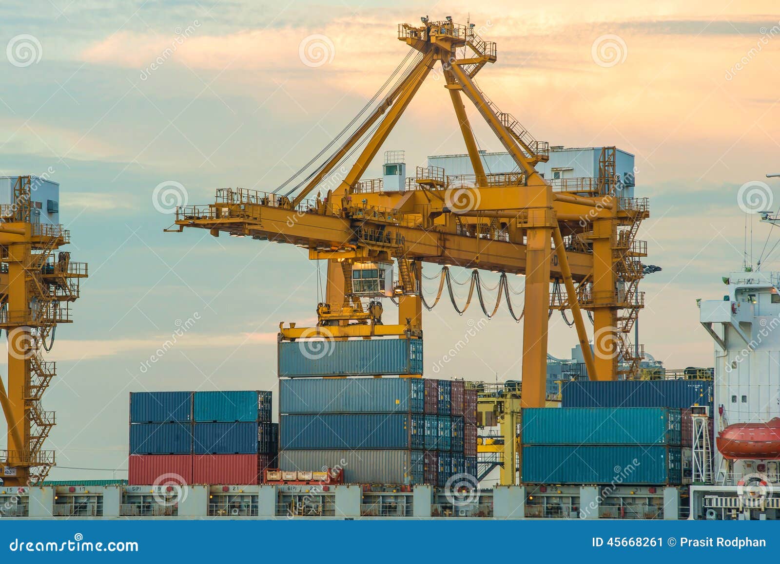 Container Operation In Port With Cranes And Gantry Loading ...