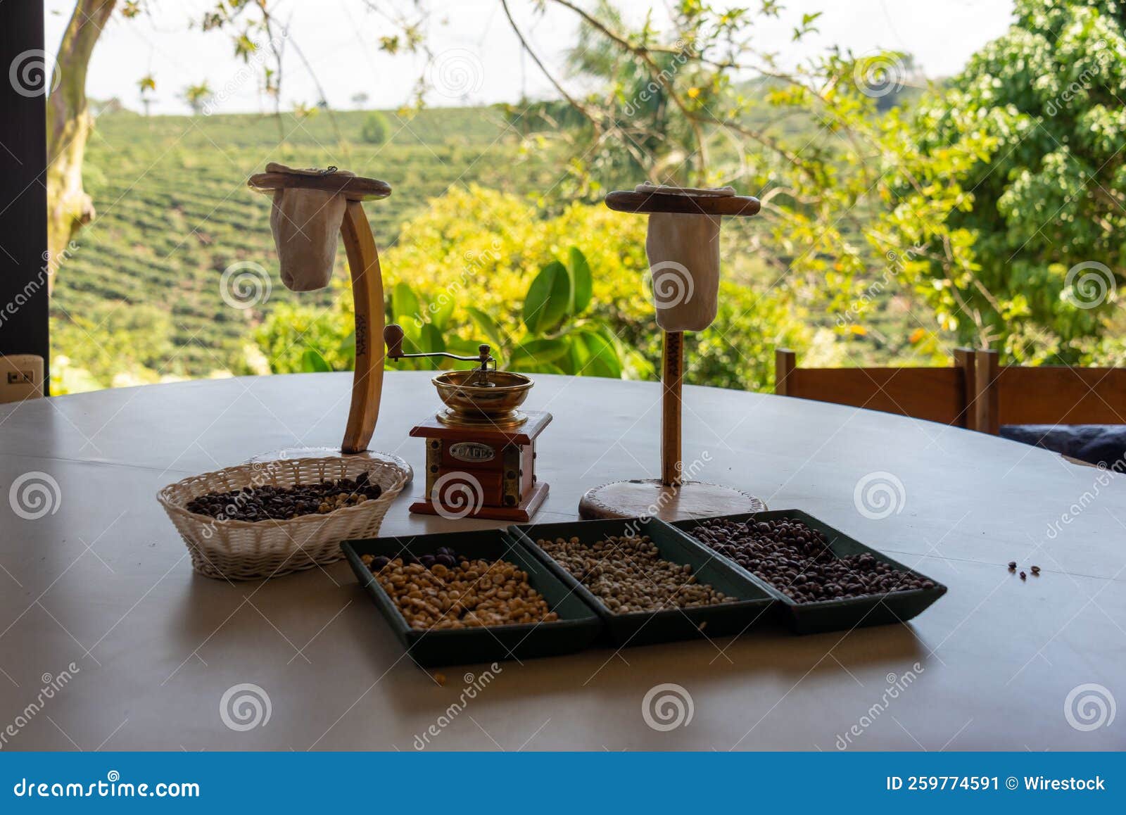 Container for Separating Coffee Beans Stock Image - Image of cafe ...