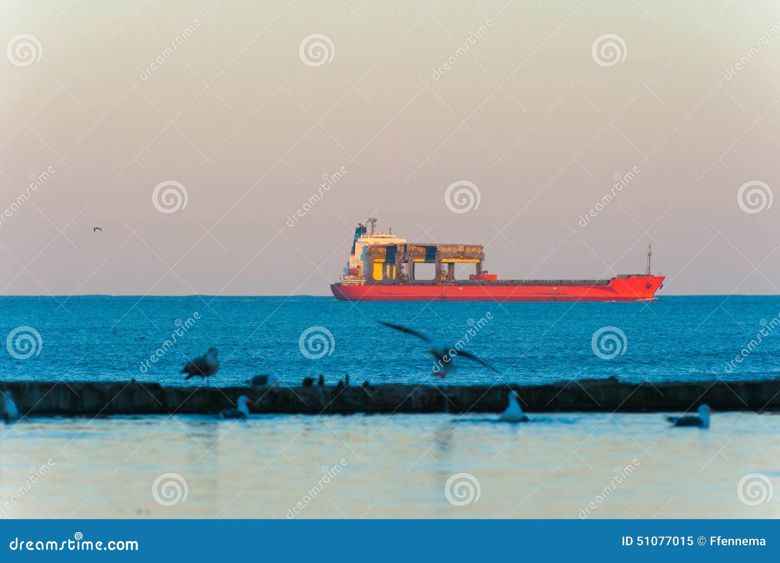 Container Ship in Ocean with Birds and Reflection Stock Image - Image ...