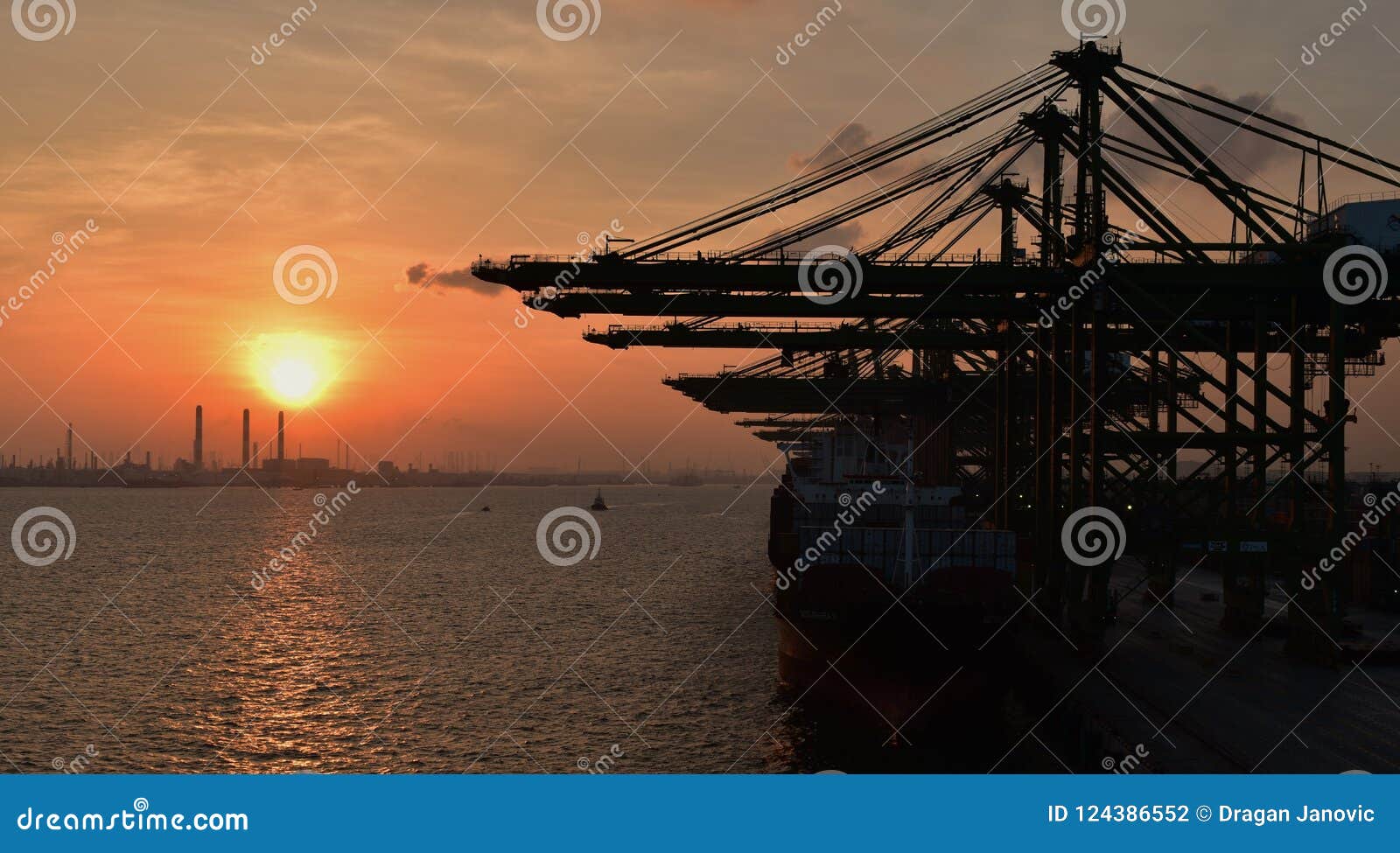 Container Terminal, Cargo Cranes and Big Industrial Complex at the ...