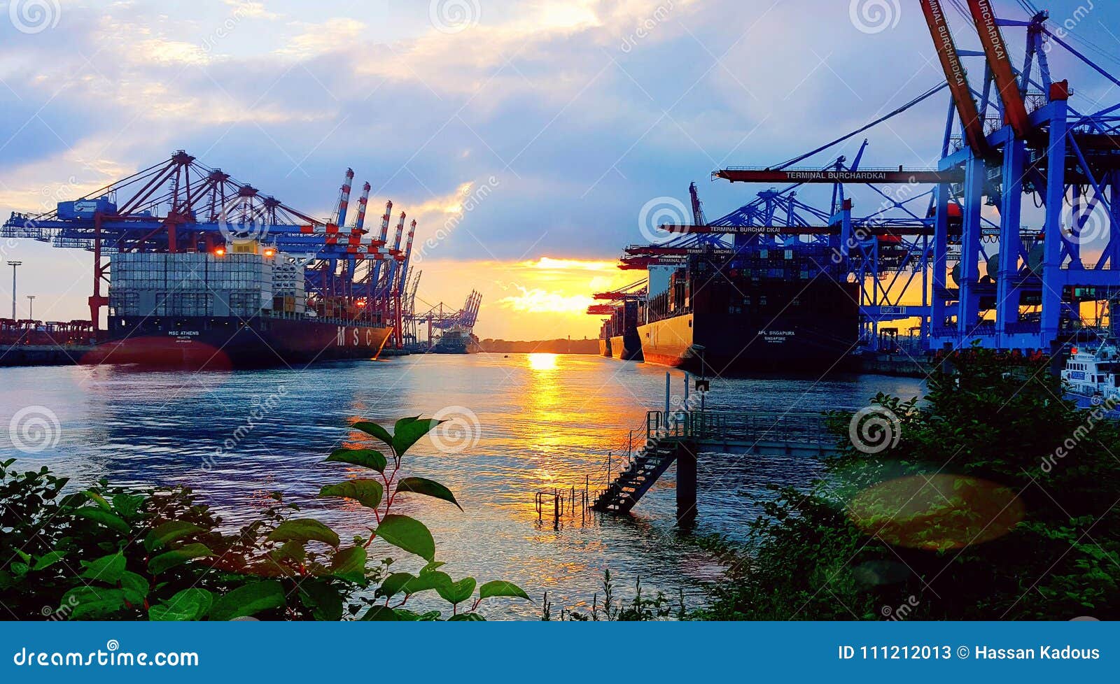 Container Terminal Hamburg Germany Editorial Stock Photo - Image of ...