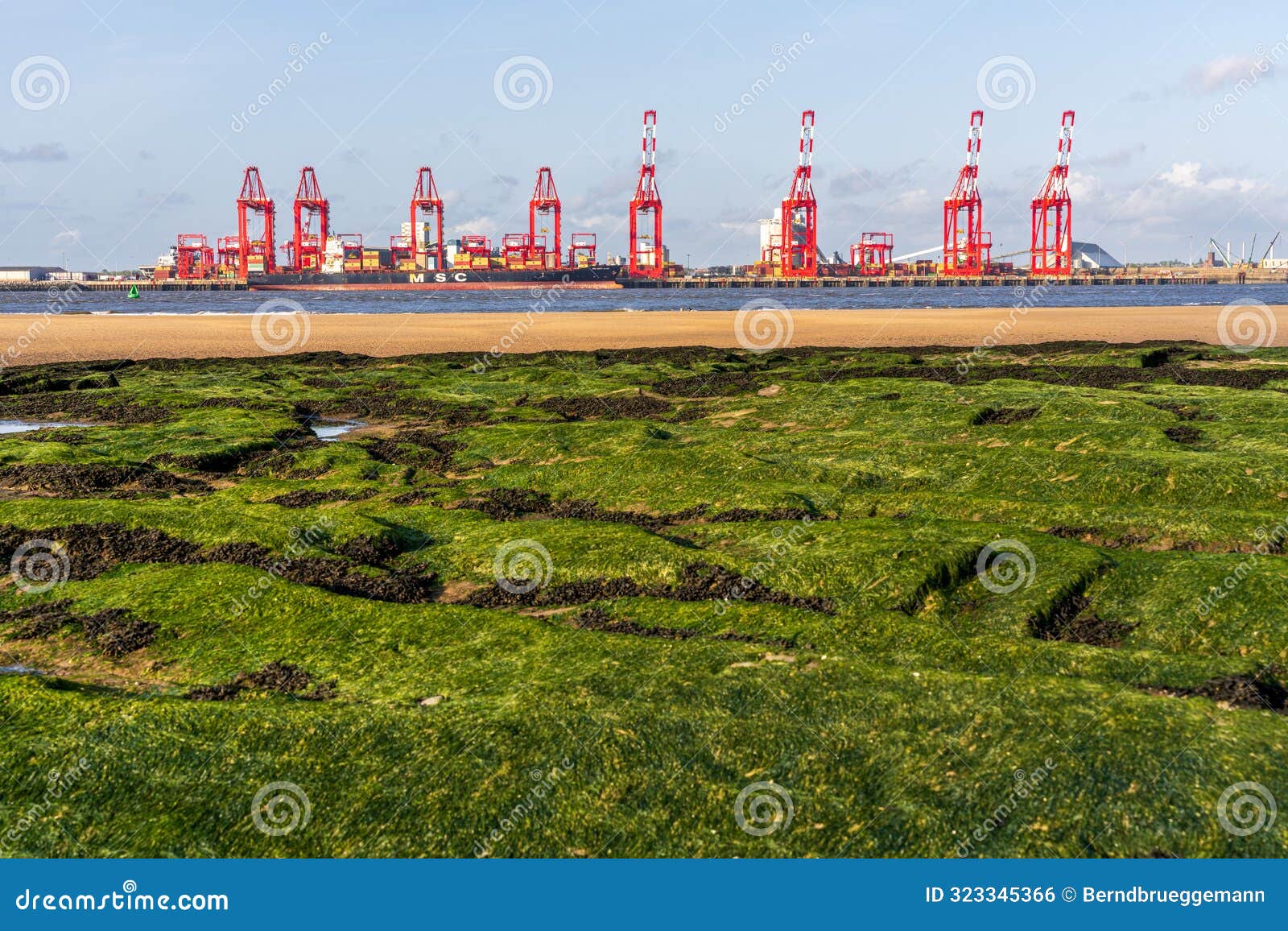 The Container Terminal of the Harbour of Liverpool in Bootle ...