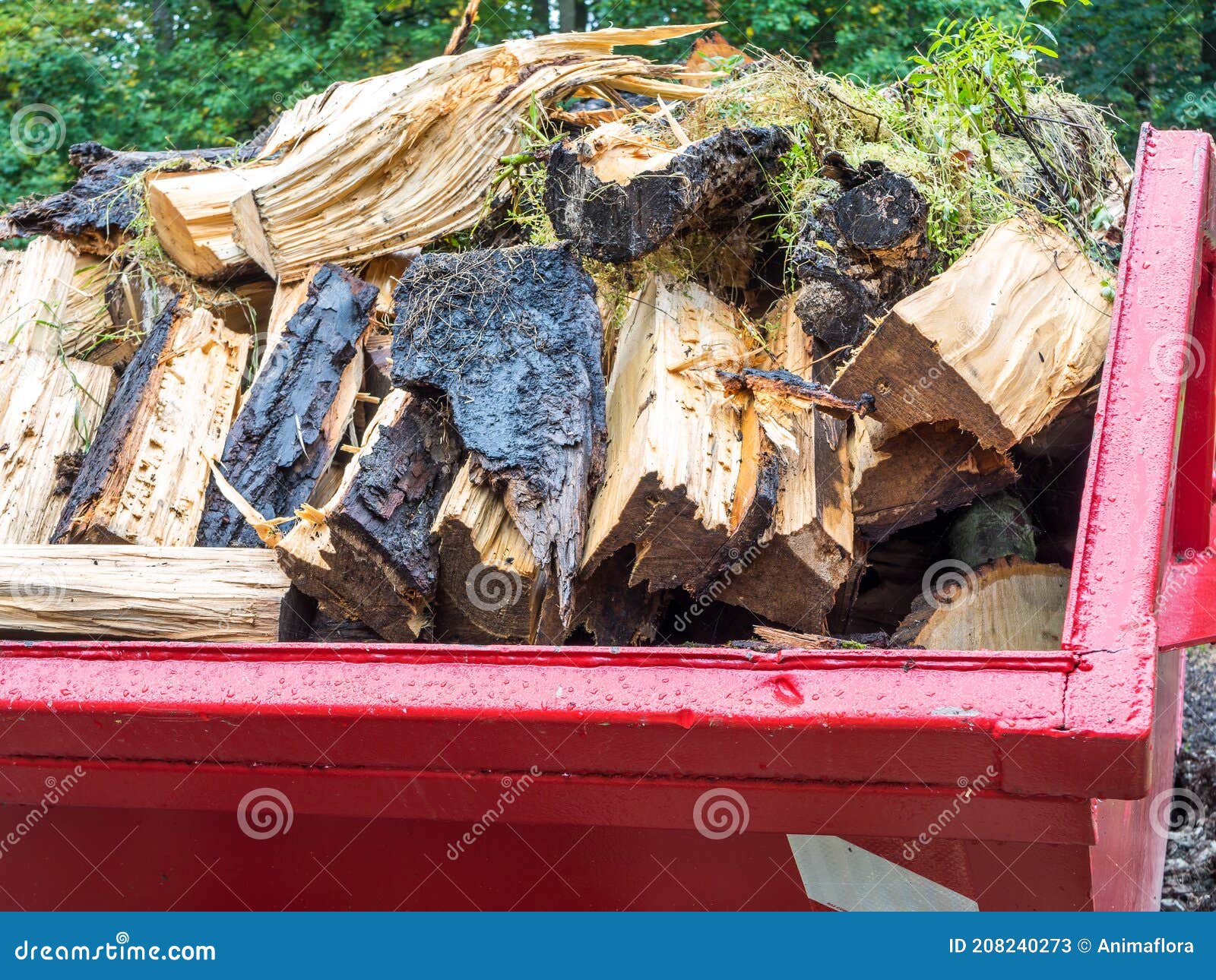Container with Timber in the Yard Stock Image - Image of dumpster ...