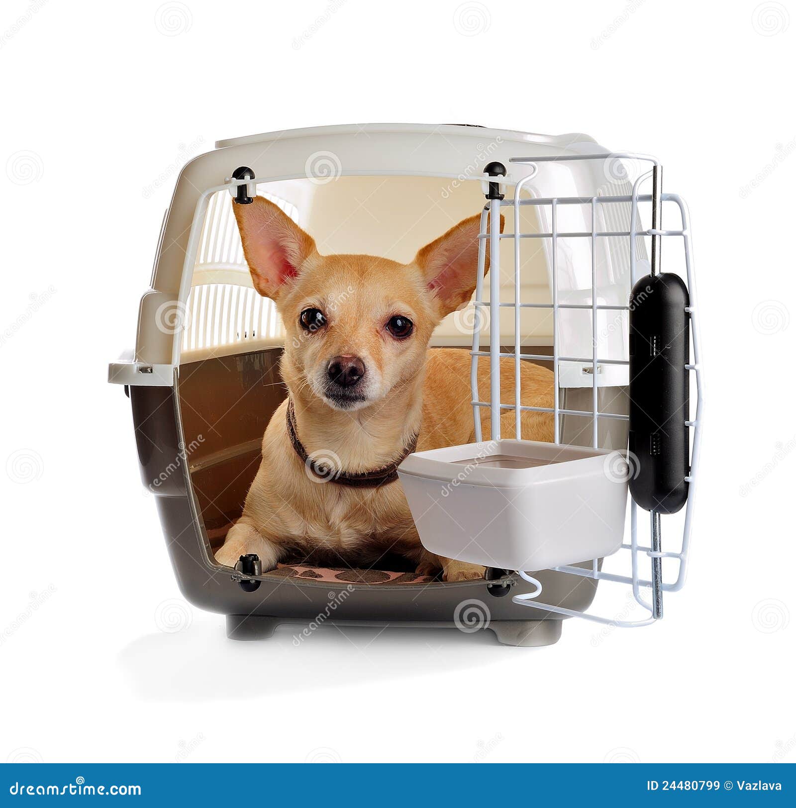 The Container For Transportation Of Animals Stock Image - Image of ...