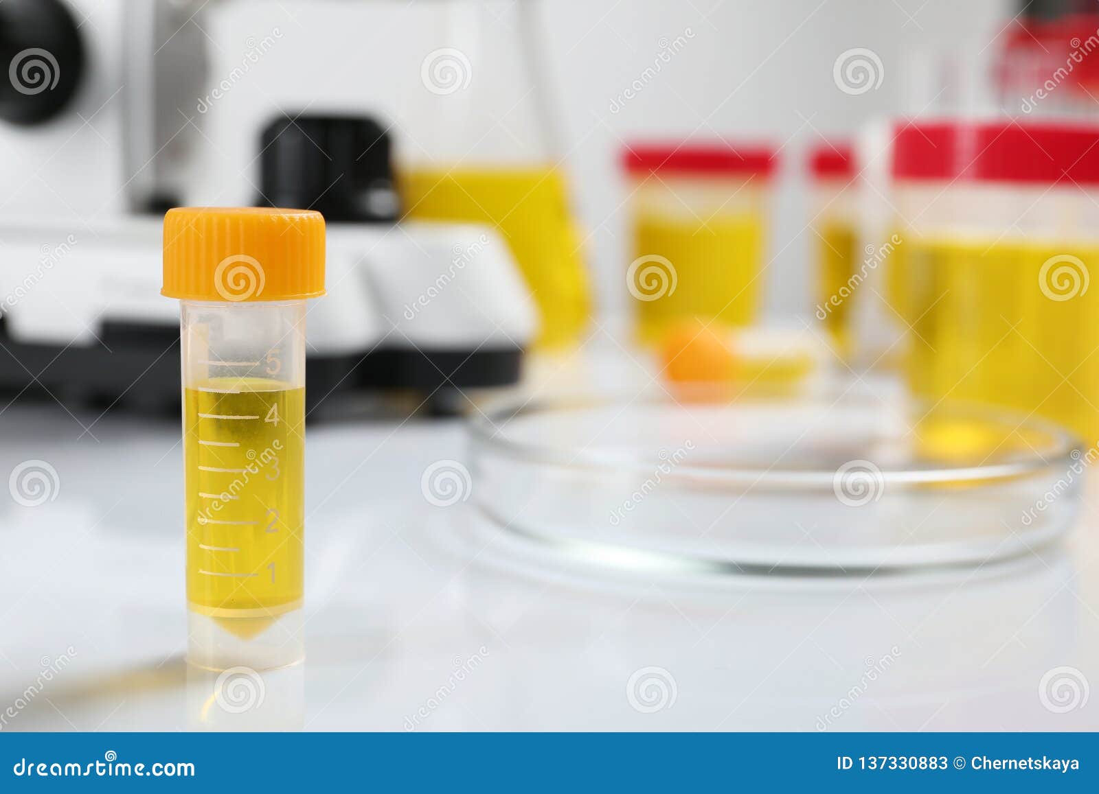 Container with Urine Sample on Table in Laboratory, Space for Text ...