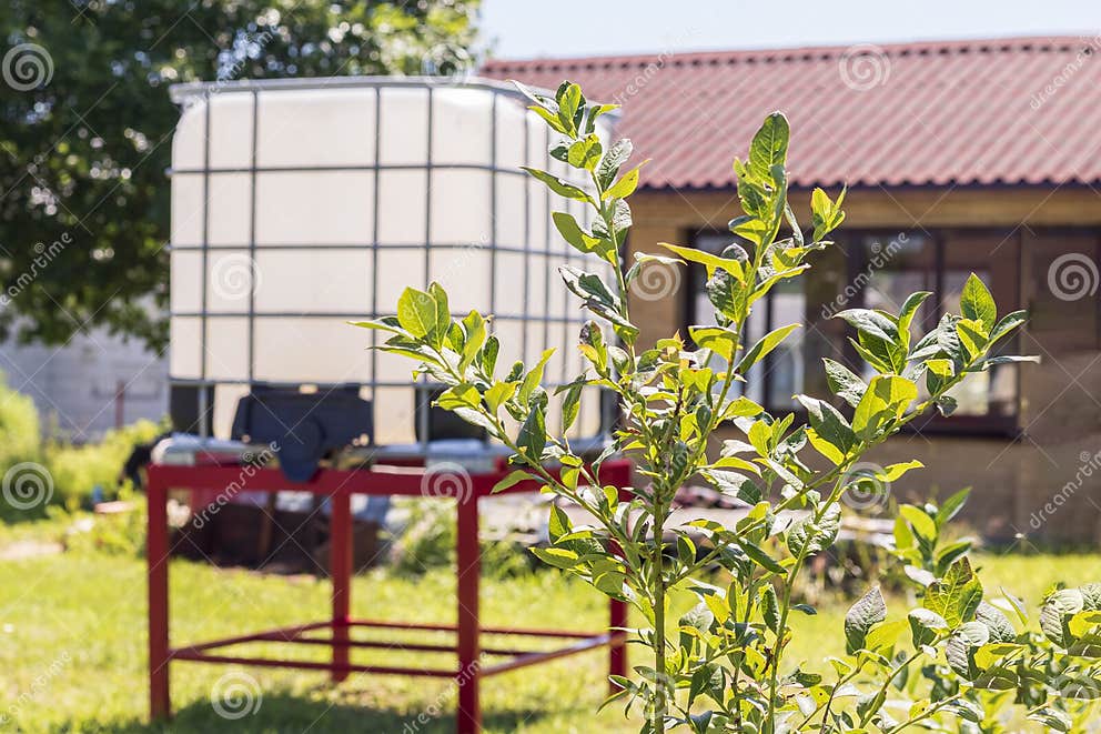 Container. White Water Tank. Shallow Depth of Field. Daylight Stock ...