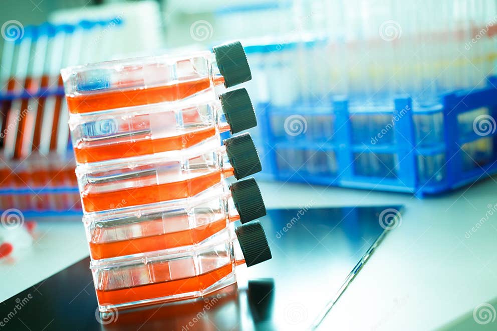 Containers of Cell Cultures Stock Image - Image of biology, vitro: 42482567