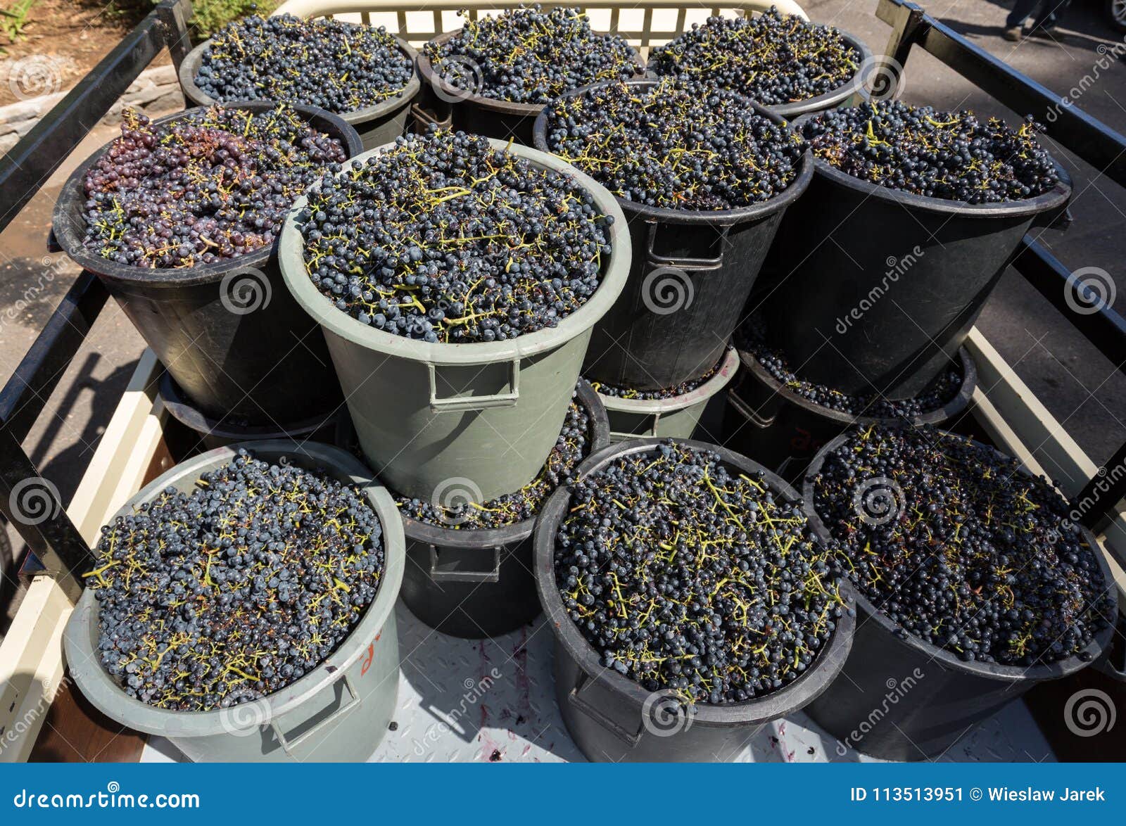 Containers with Grapes after Finished Grape Harvest in Madeira. Stock ...