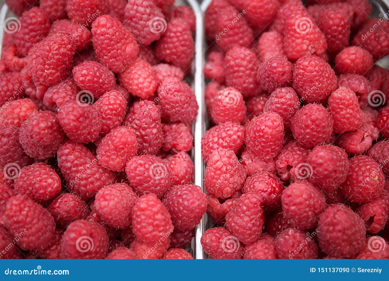 Containers with Ripe Raspberry at Market, Closeup Stock Photo - Image ...