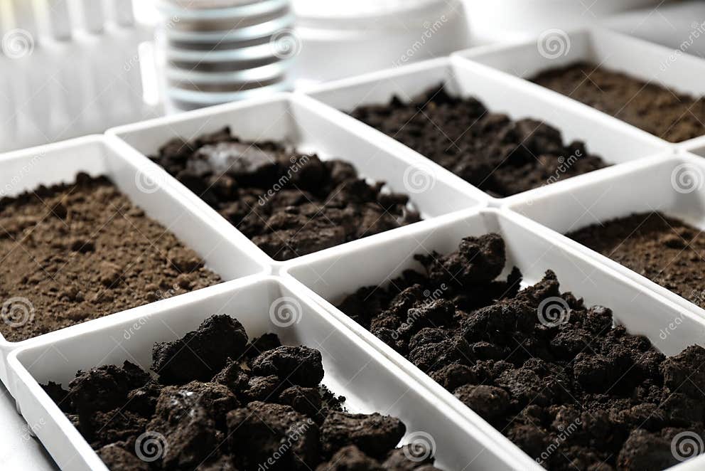 Containers with Soil Samples. Laboratory Research Stock Photo - Image ...