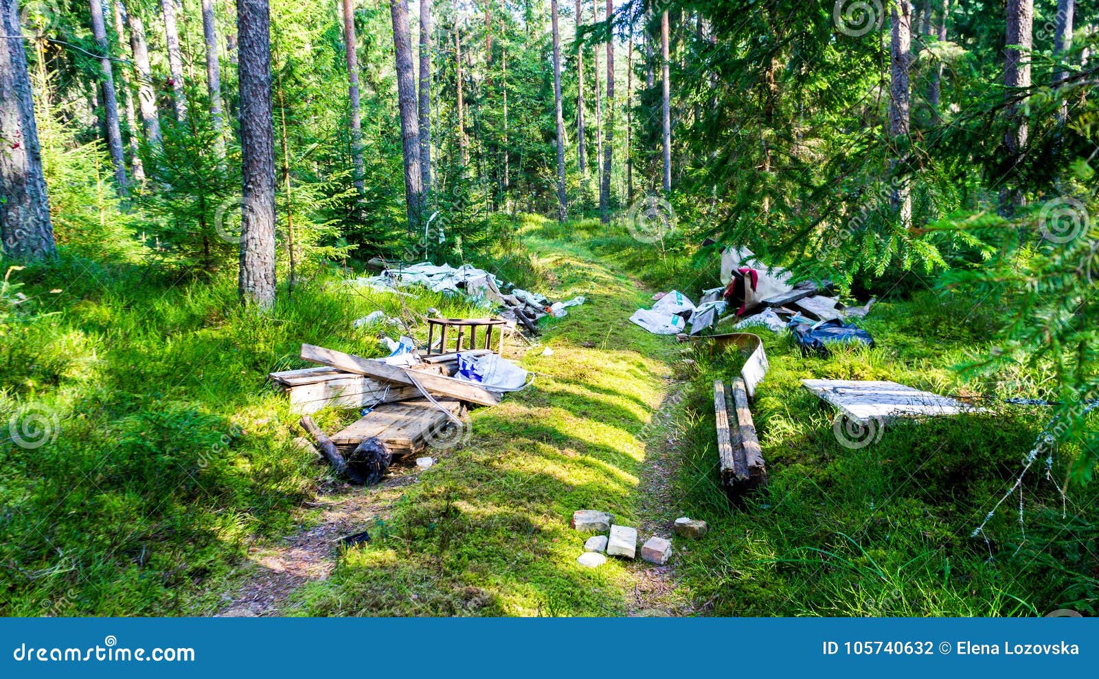 Contaminación Ambiental En Bosques Foto de archivo - Imagen de bosques ...