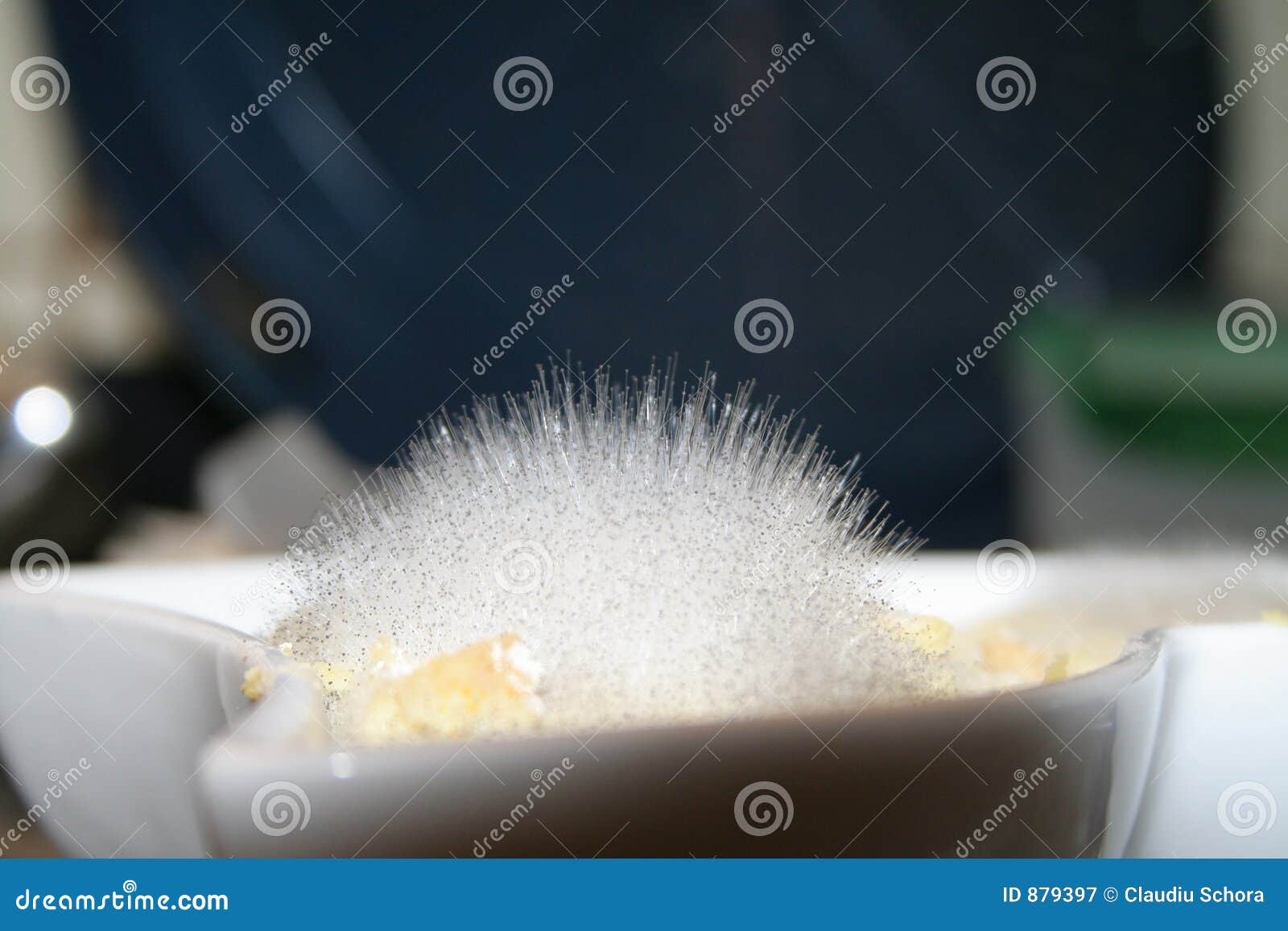 Contaminated cheese stock image. Image of breakfast, snack - 879397