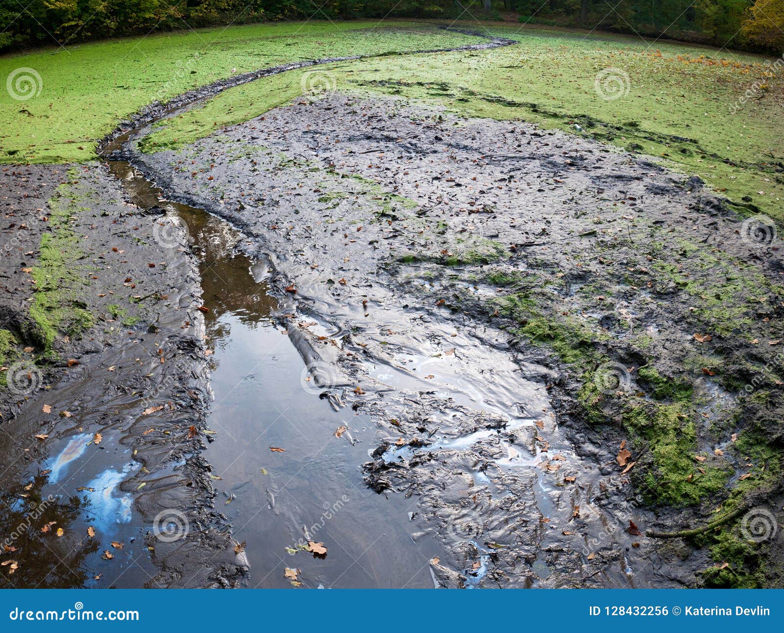 Contaminated empty pond stock photo. Image of dirt, problem - 128432256