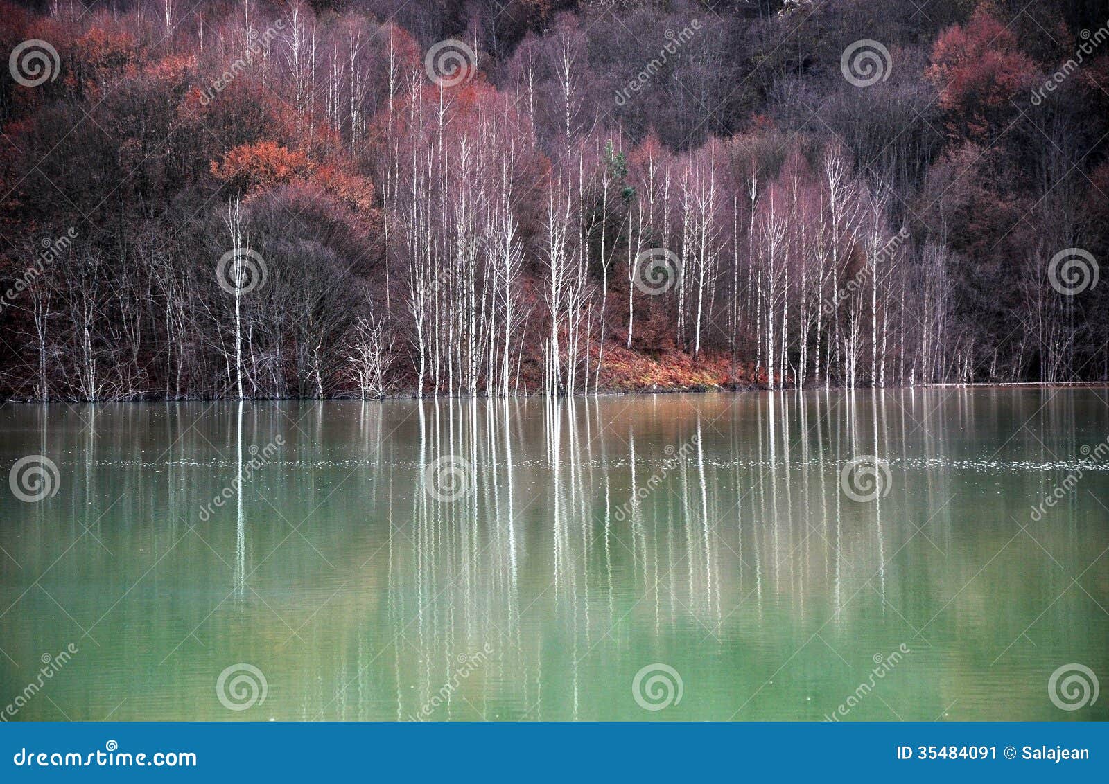 Contaminated lake water stock image. Image of chemical - 35484091