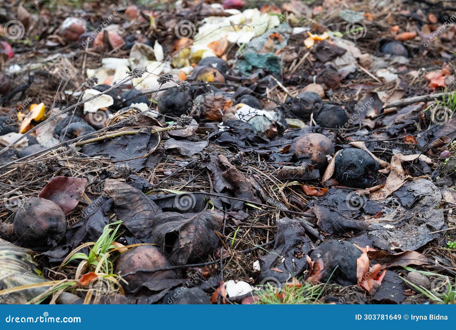 Contaminated Land with Household Waste. Ecological Catastrophy Stock ...