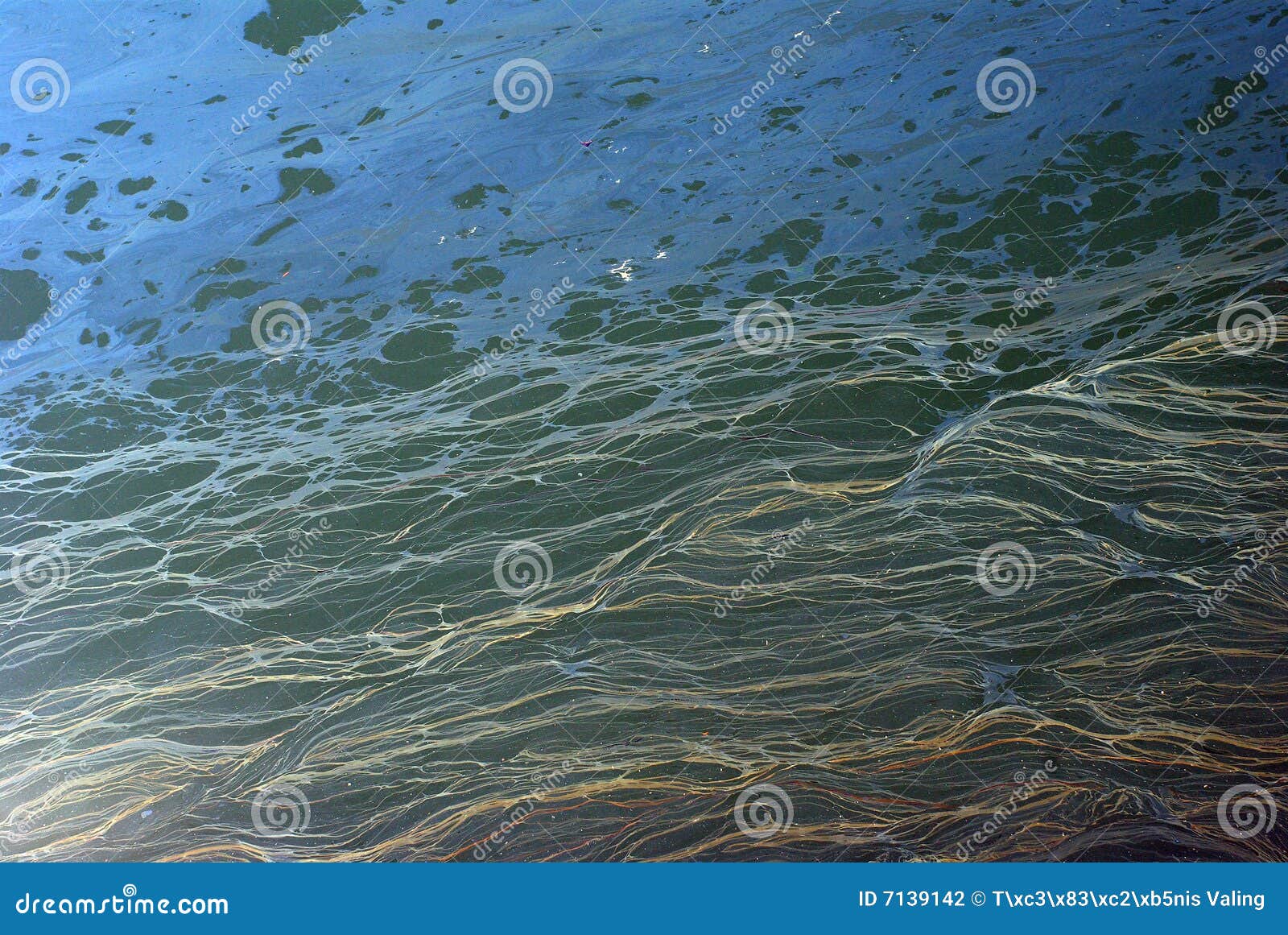 Contaminated sea stock photo. Image of ecology, liquid - 7139142