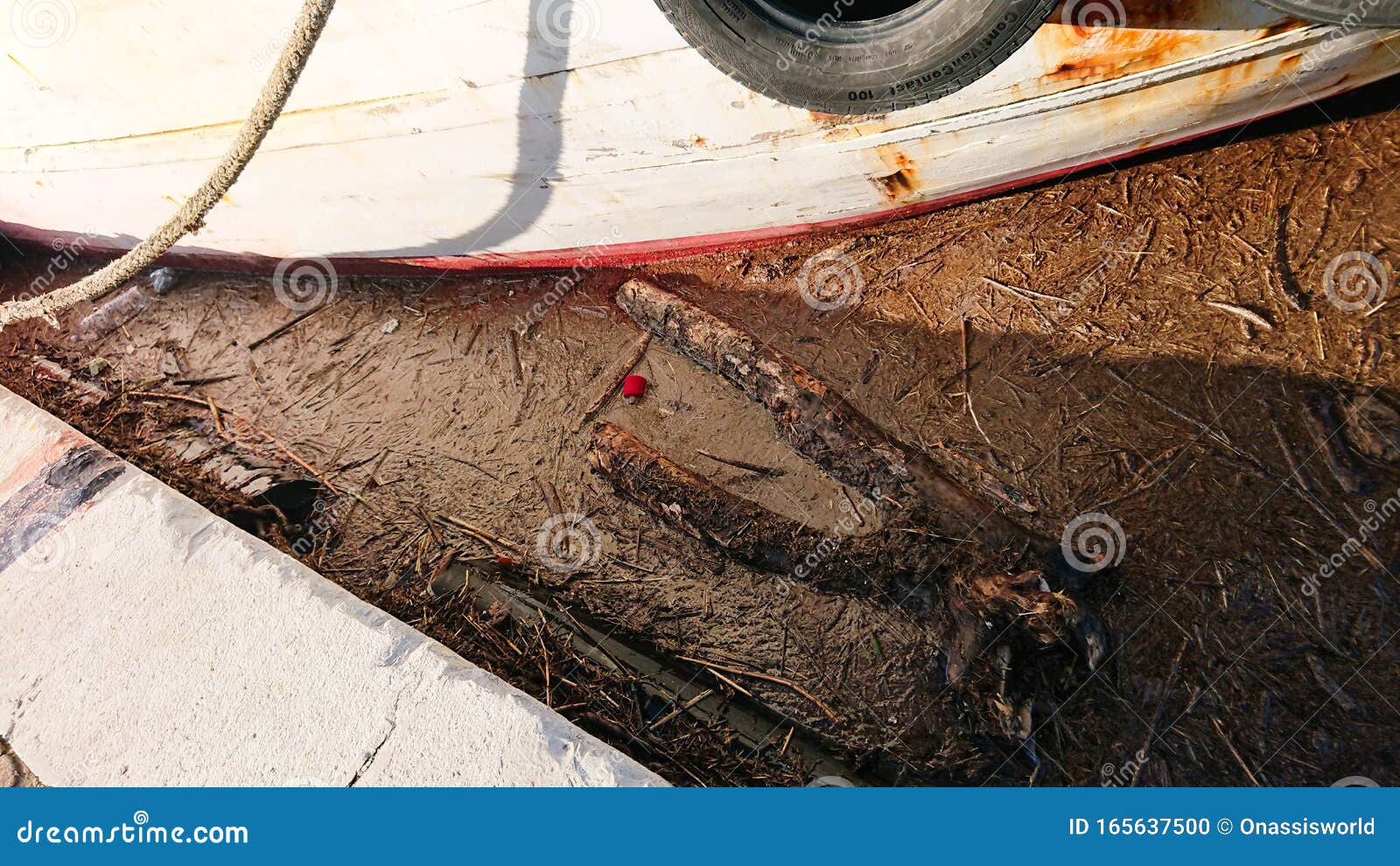 Contaminated Water Ambiental Destruction Stock Photo - Image of waste ...