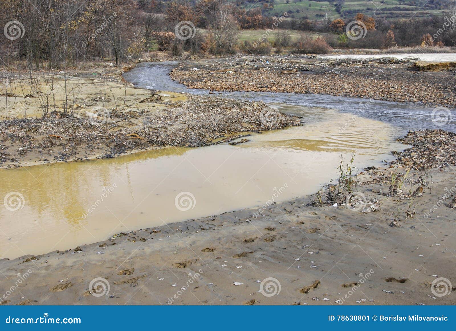 Contaminated water stock image. Image of pollution, nature - 78630801