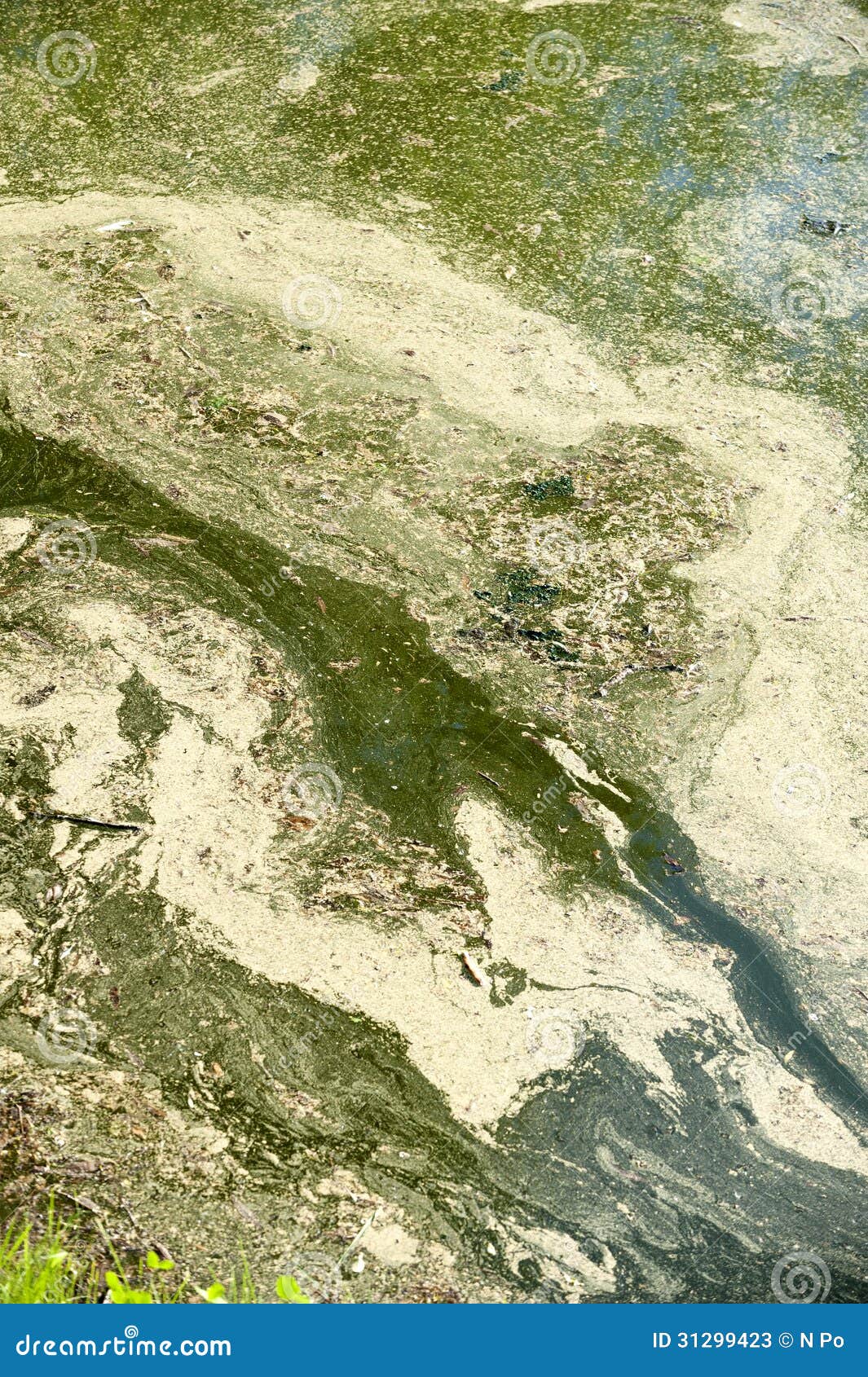 Contaminated Water Reservoir Stock Image - Image of pond, environmental ...