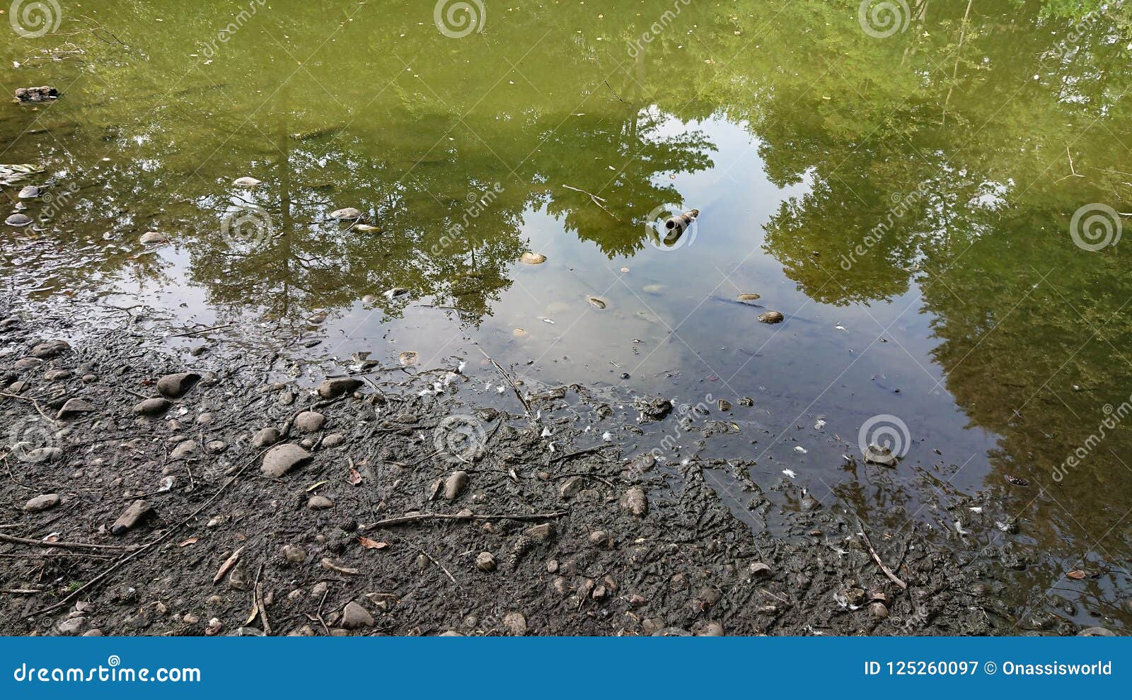 Contaminated waterfront stock image. Image of nature - 125260097