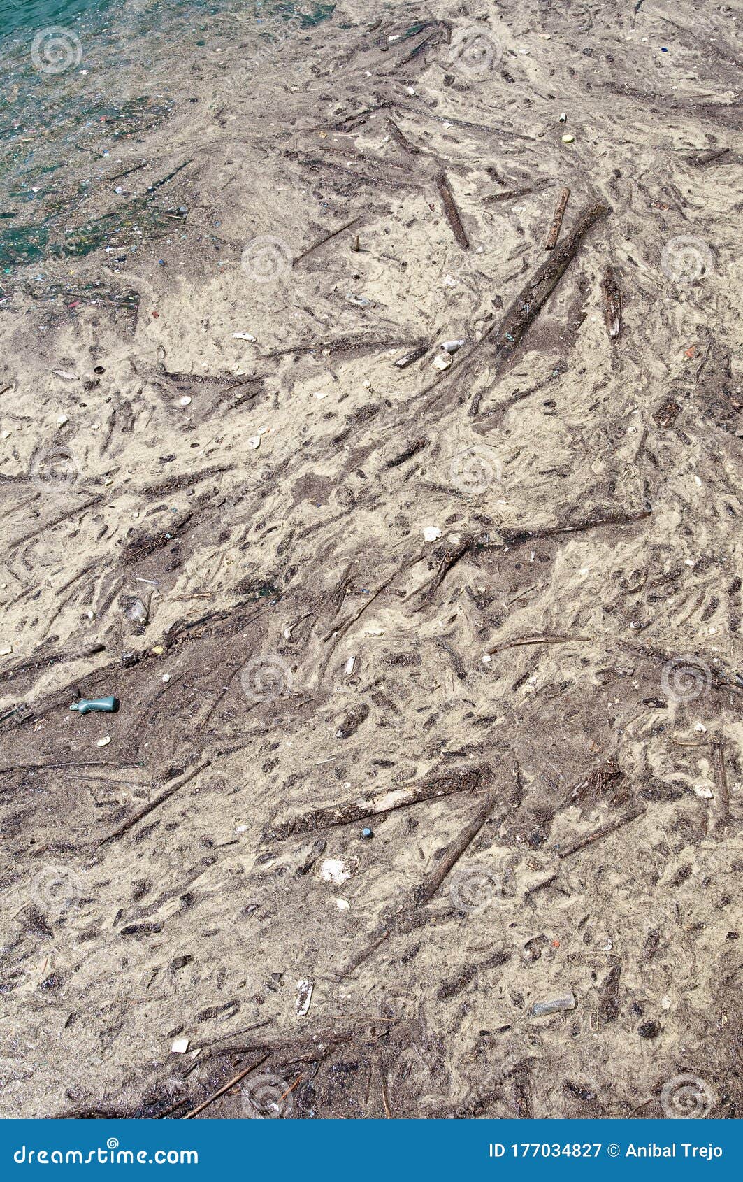 Contaminated waters stock image. Image of empty, bottle - 177034827