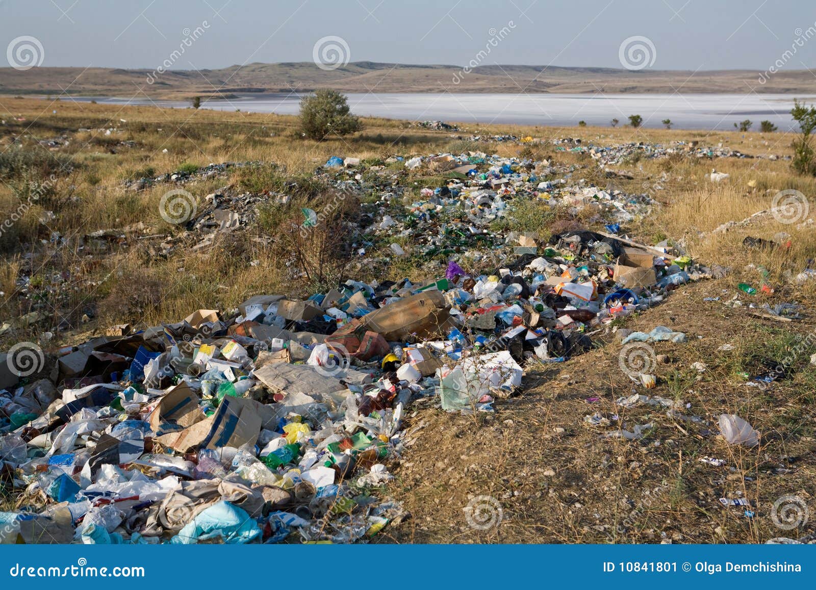 Contamination Of Nature Stock Image - Image: 10841801