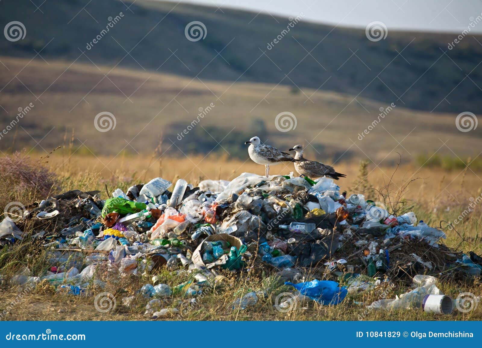 Contamination of nature stock image. Image of ugly, gather - 10841829