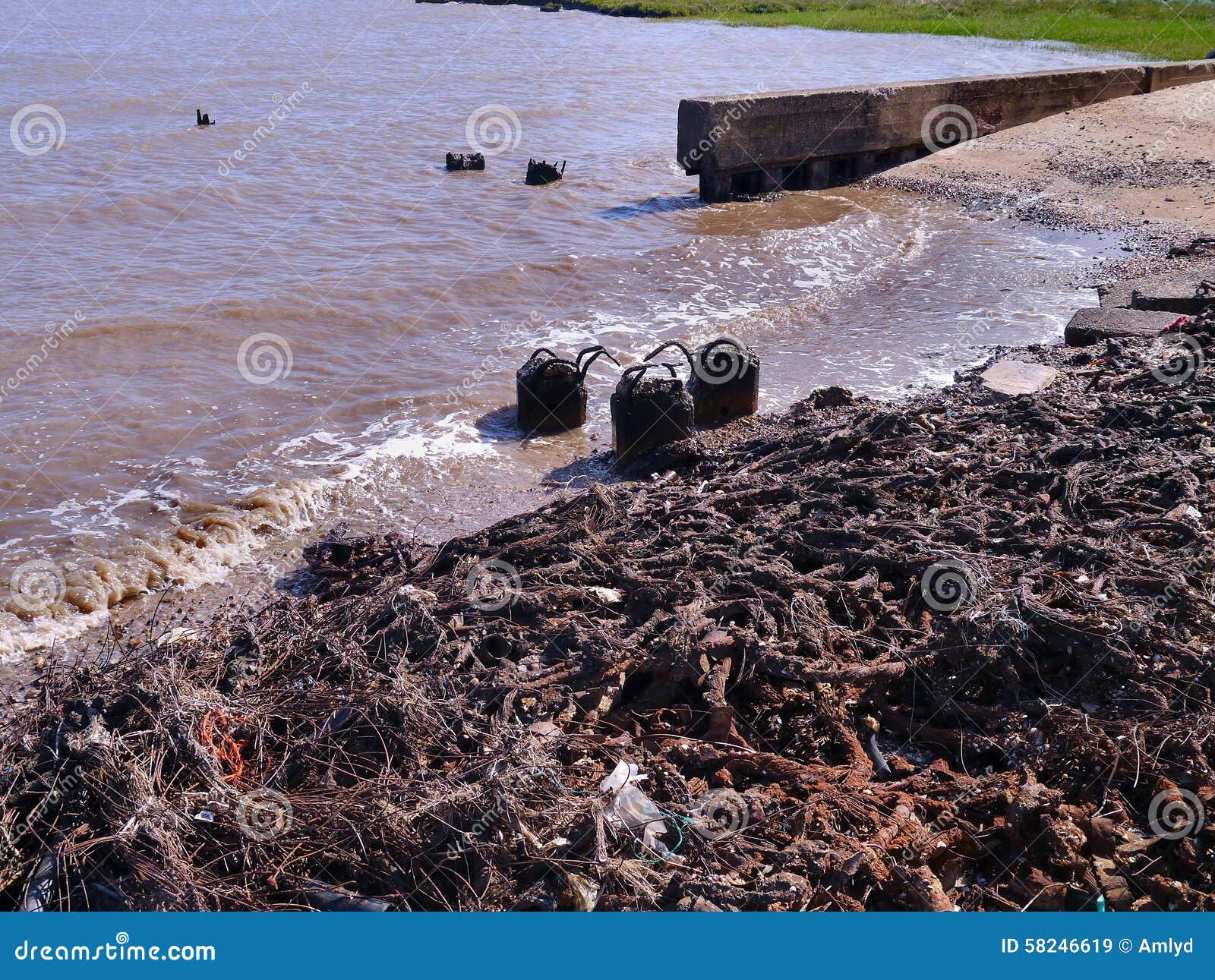 Contamination of a Seashore Stock Image - Image of dumped, closeup ...