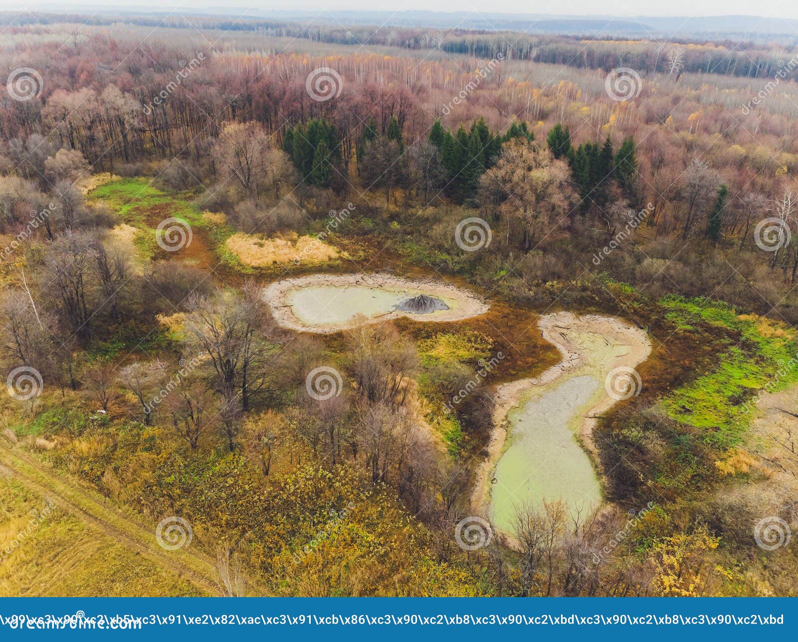 Contamination of a Small River in the Forest. Stock Photo - Image of ...